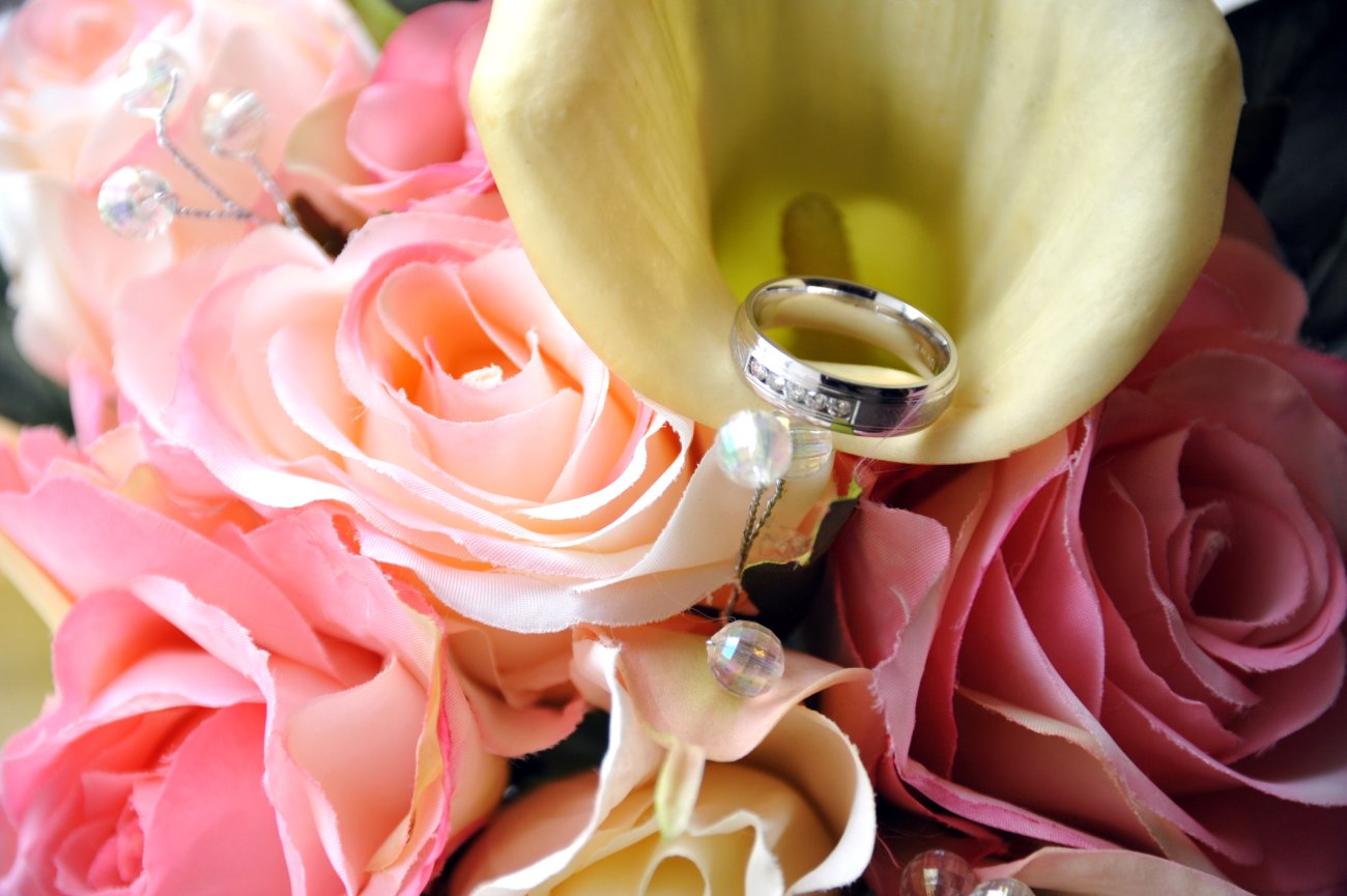 Victor Aziz Photography - Portraits, Weddings, Commercial, Serving ...