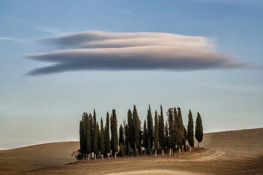A rare sighting - Jim Zuckerman photography & photo tours