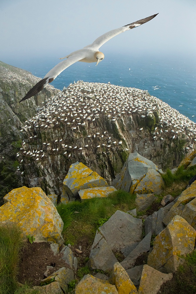 Unusual composite - Jim Zuckerman photography & photo tours