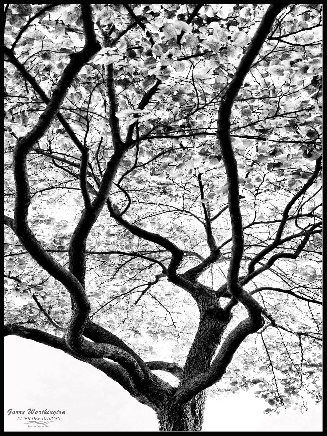 Art Gives Meaning To Lines And Angles - Catharine A Deever