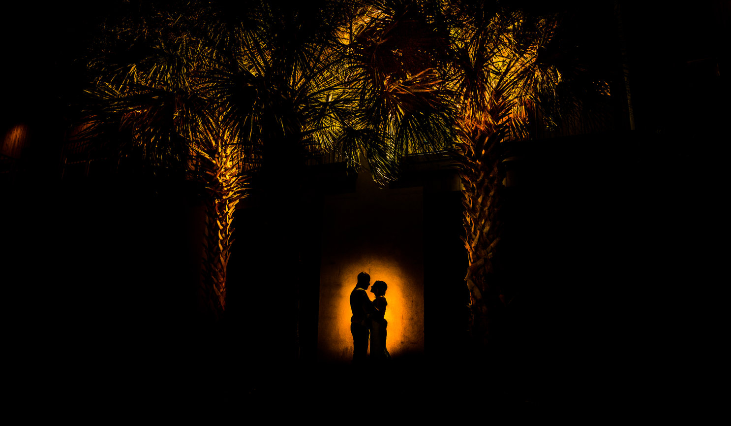 Wedding Gallery | Sean True Photography