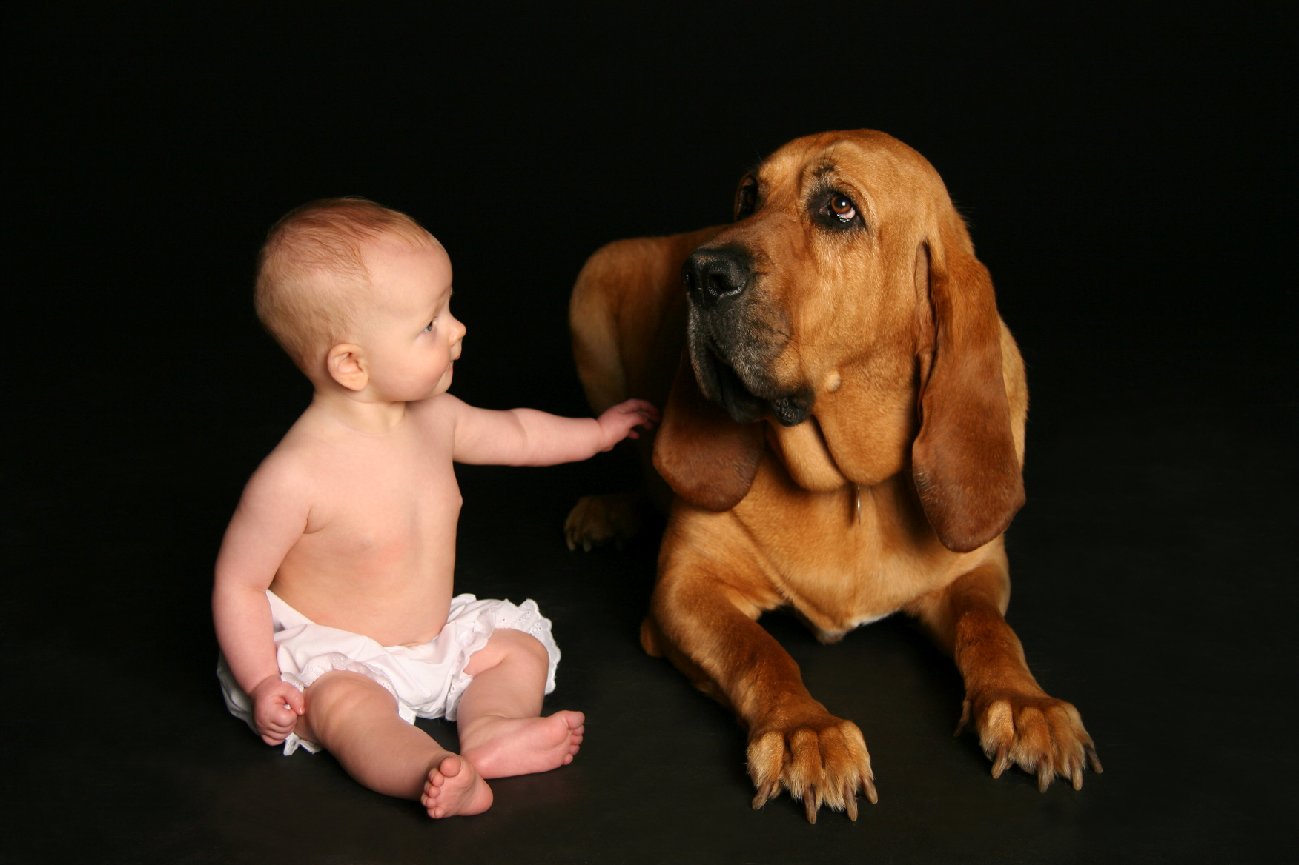 Contemporary Photography -Birth, Babies, Baby, Fashion, Boudoir ...