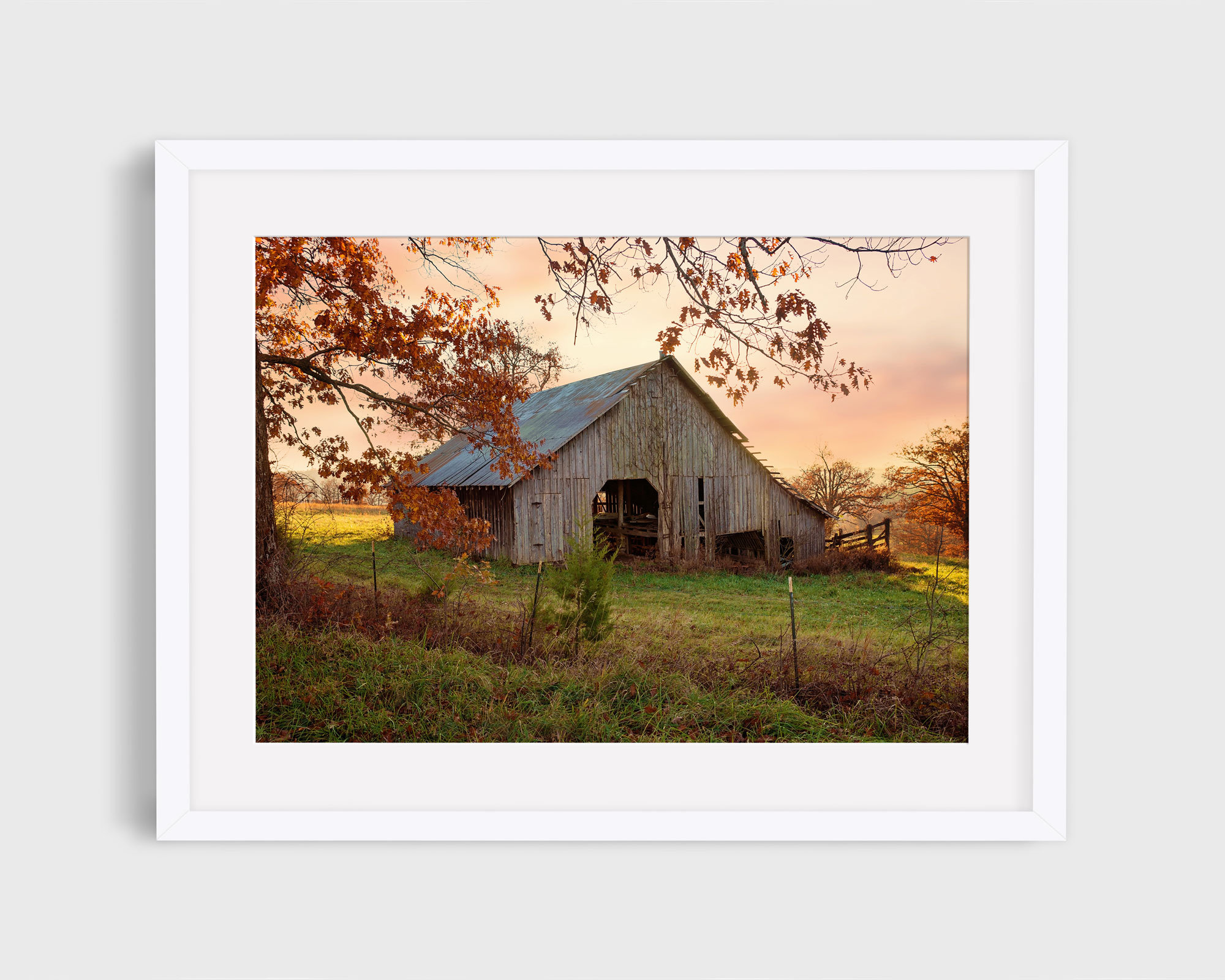 THE BARN TAKES A BOW - Christine Roth