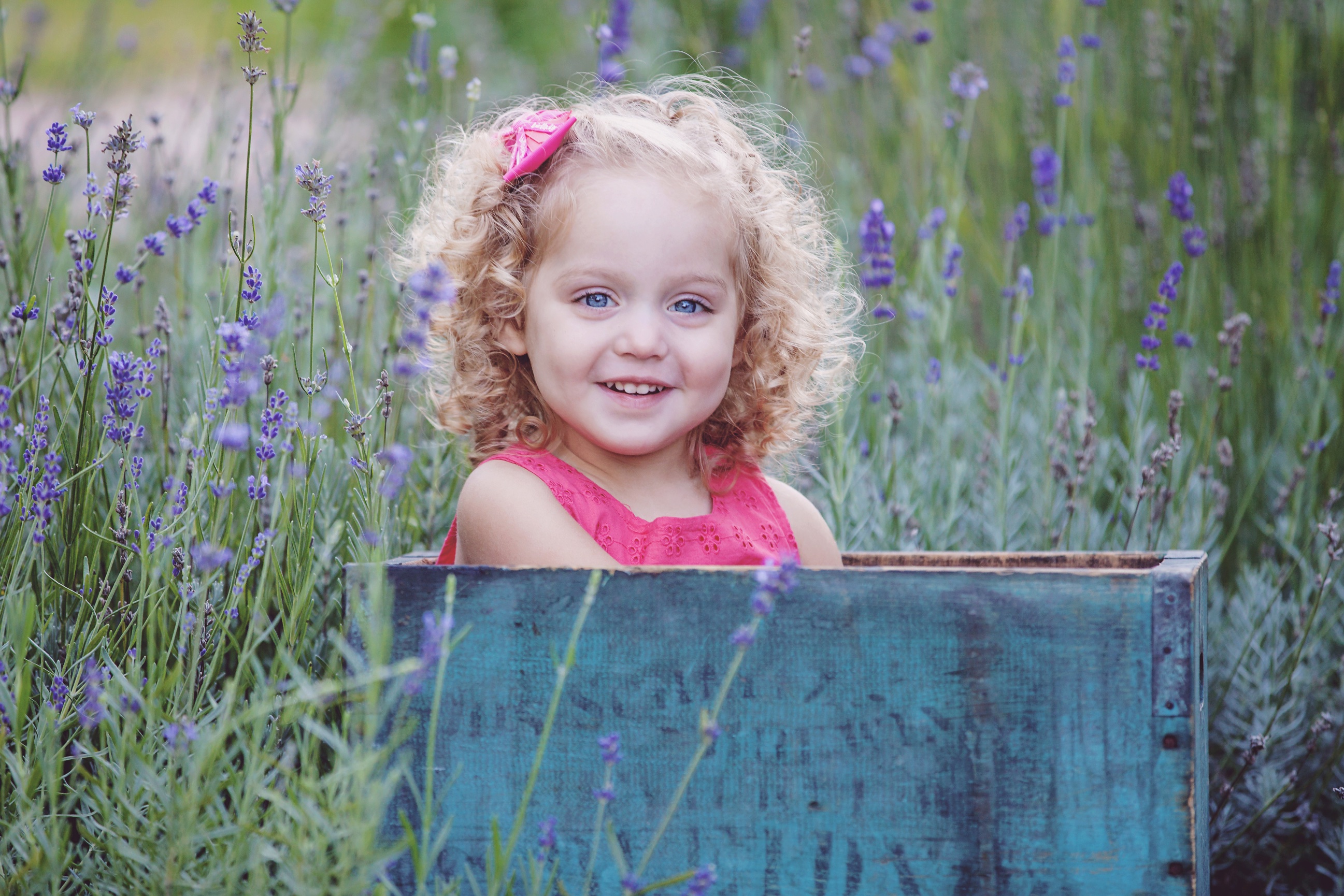 HOME - Portraits by Sharon