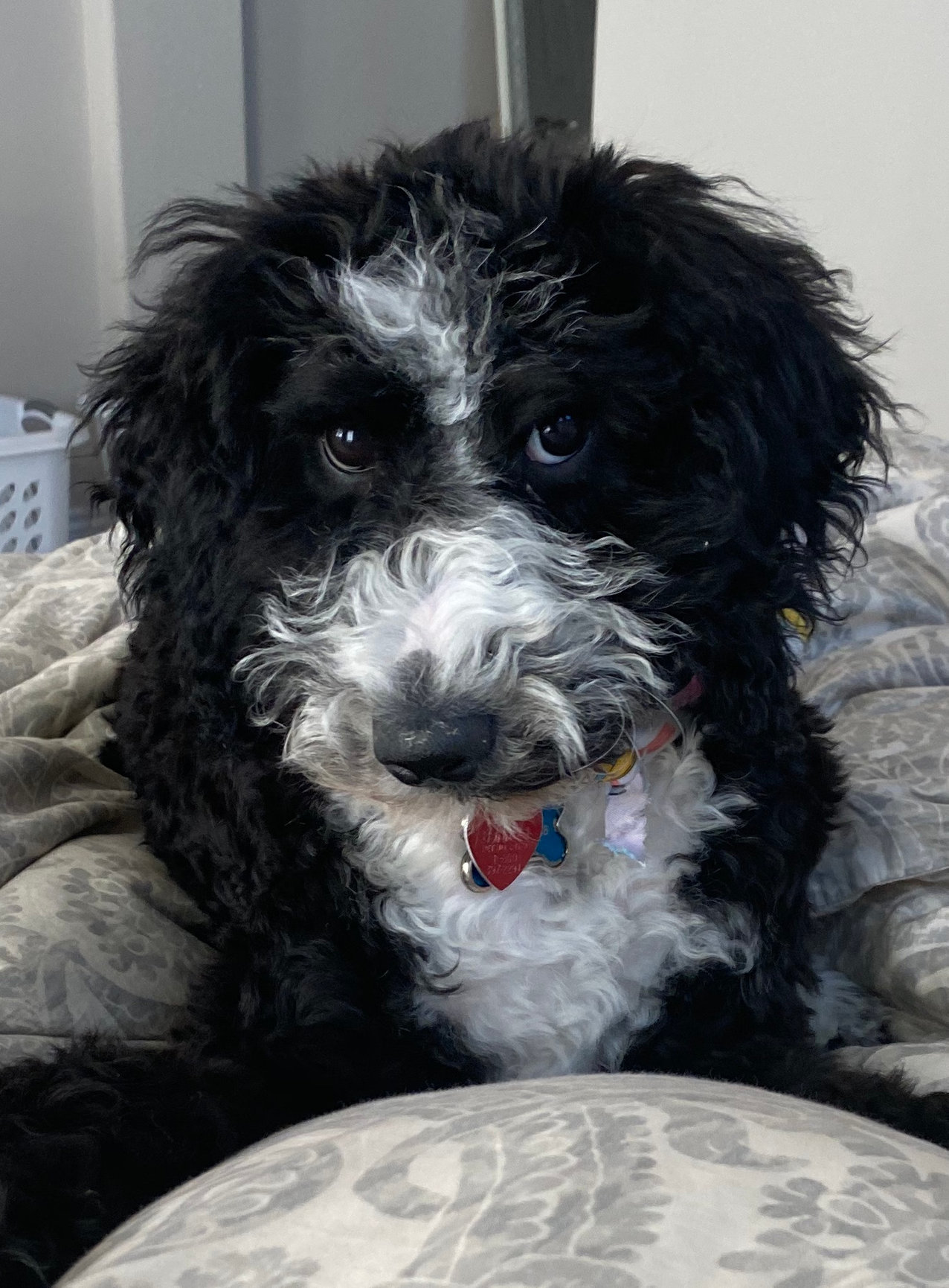 Ranger Package - RC George Photography