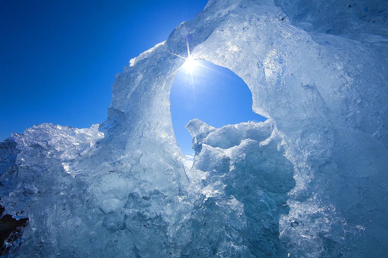 Sun stars - Jim Zuckerman photography & photo tours