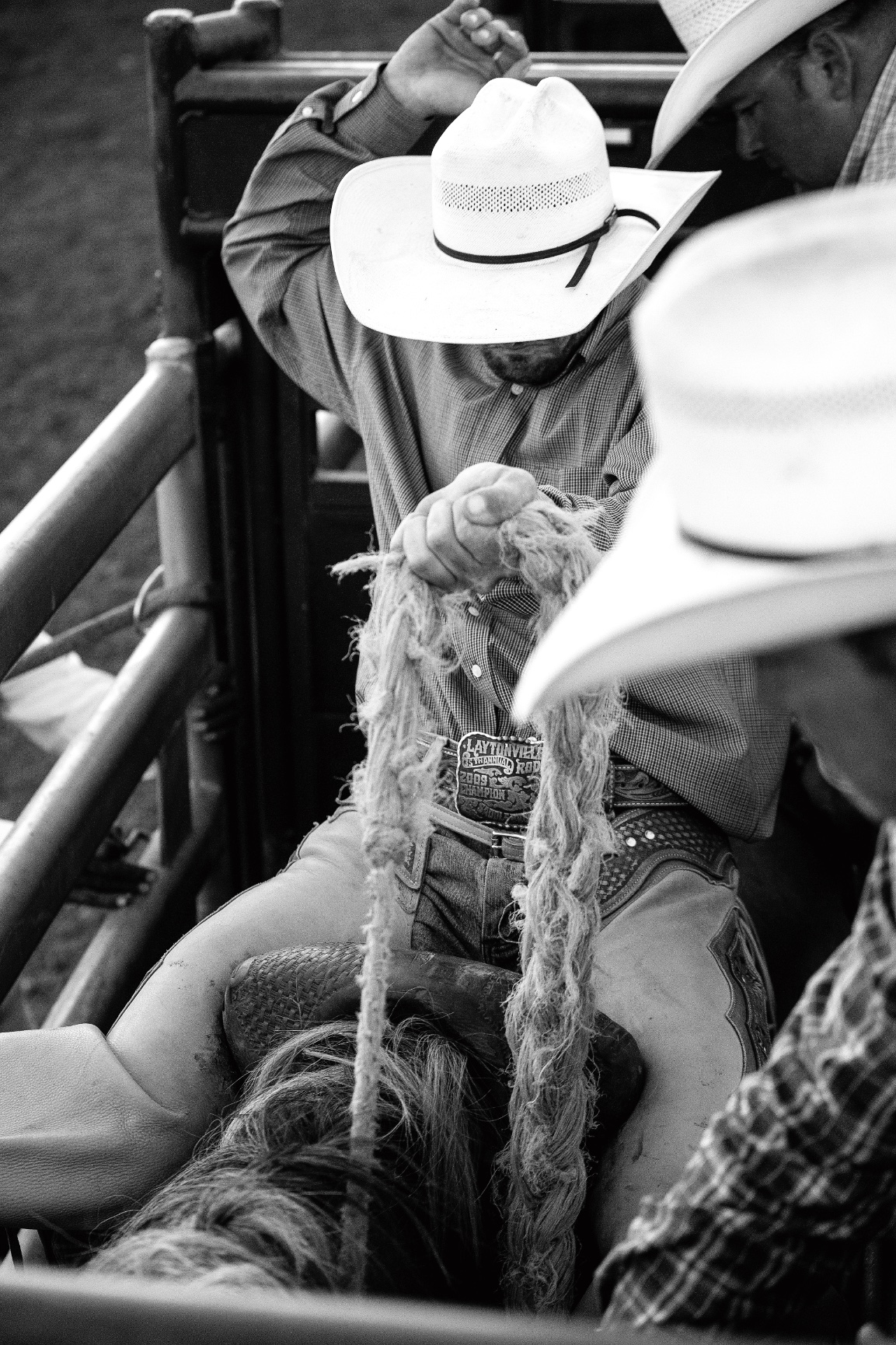 Rodeo Series | Shane Russeck Studios | Wildlife Photography
