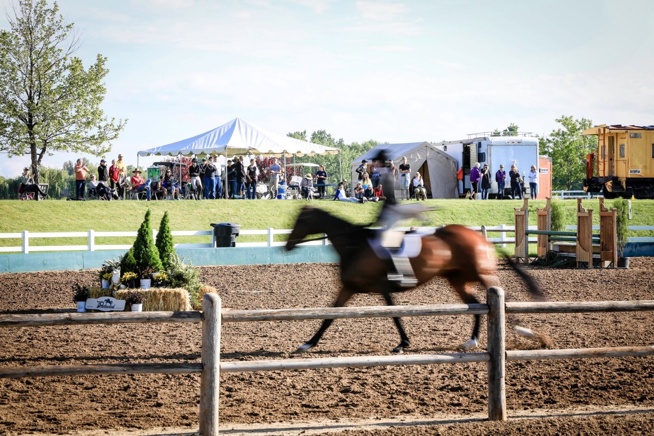 MEMBERSHIP POINT STANDINGS - Boise Saddle and Jump Club
