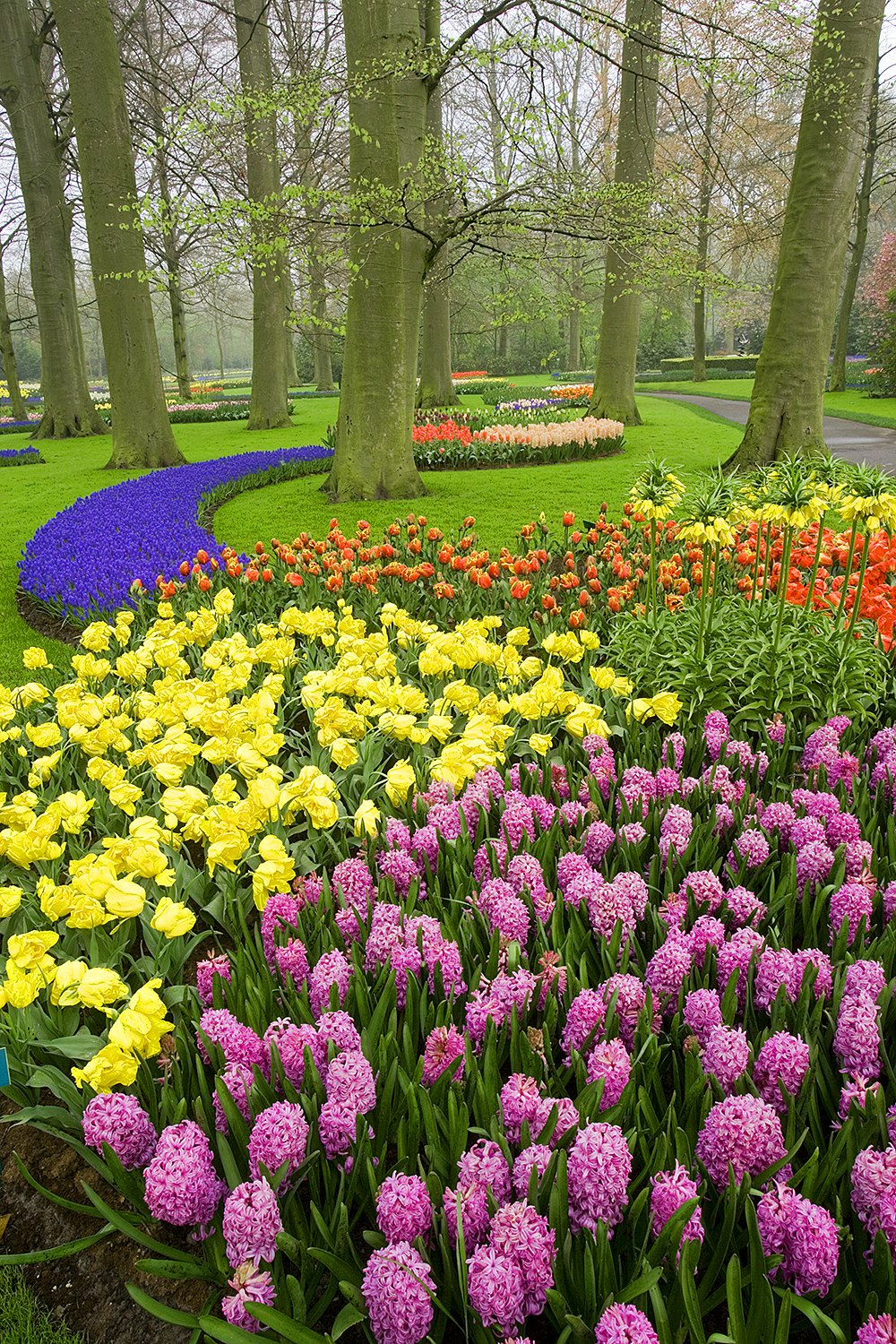 Keukenhof Gardens - Jim Zuckerman photography & photo tours