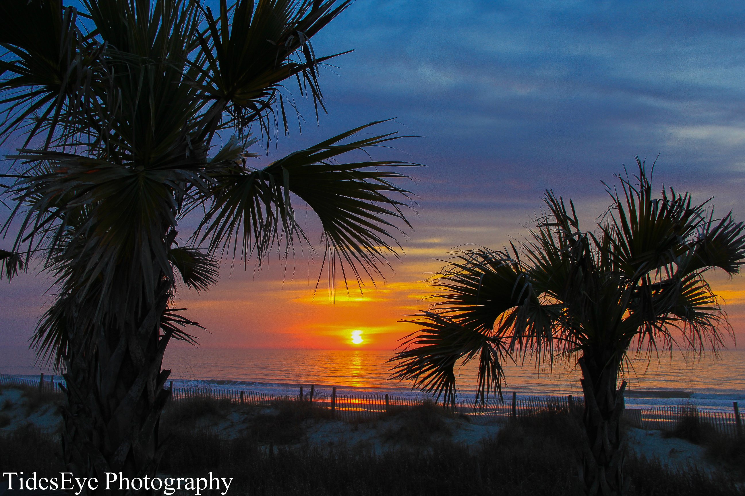 LANDSCAPES/NATURE - Tides Eye Photography