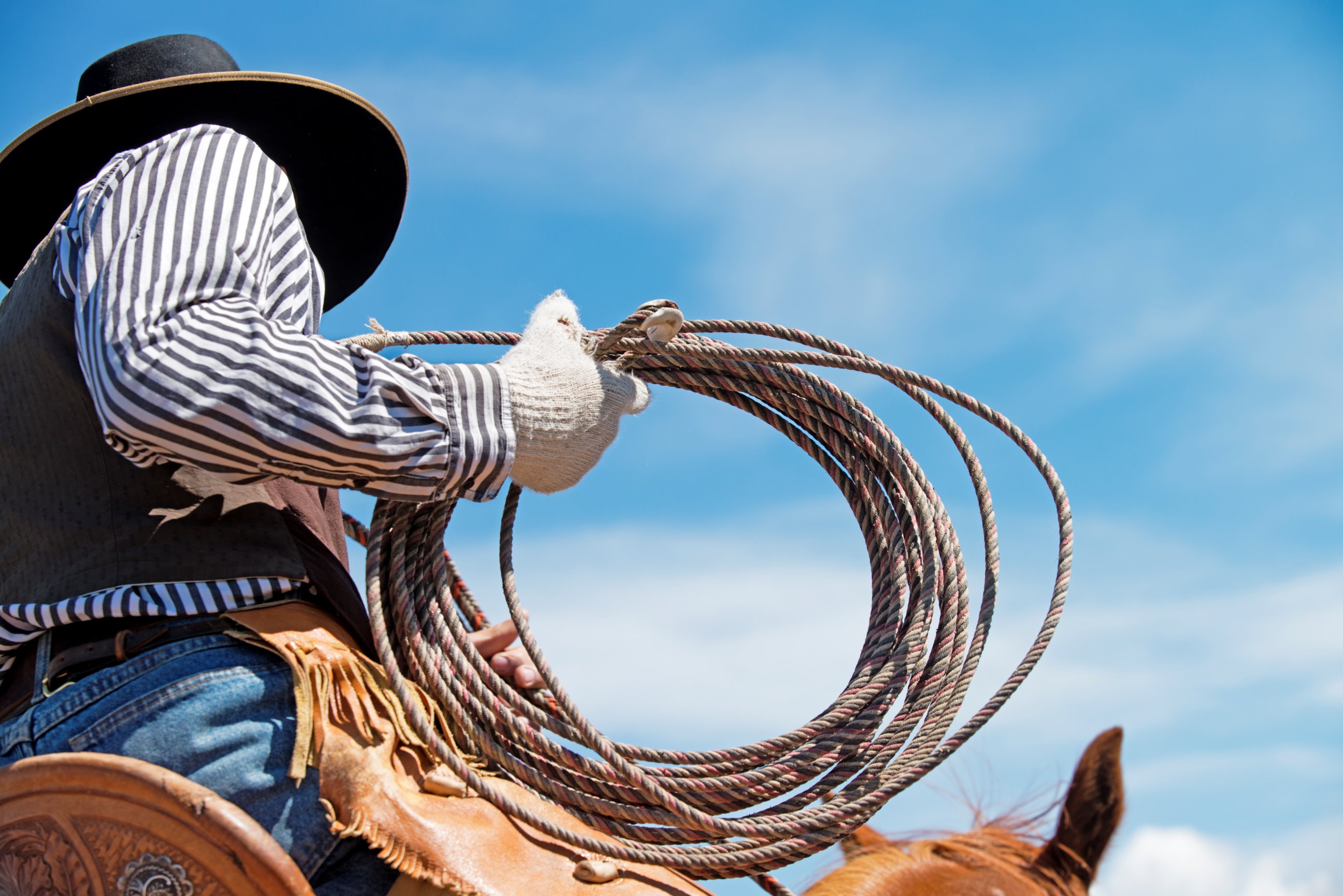 Western Lifestyle Photography in Montana | Cynthia Baldauf Images