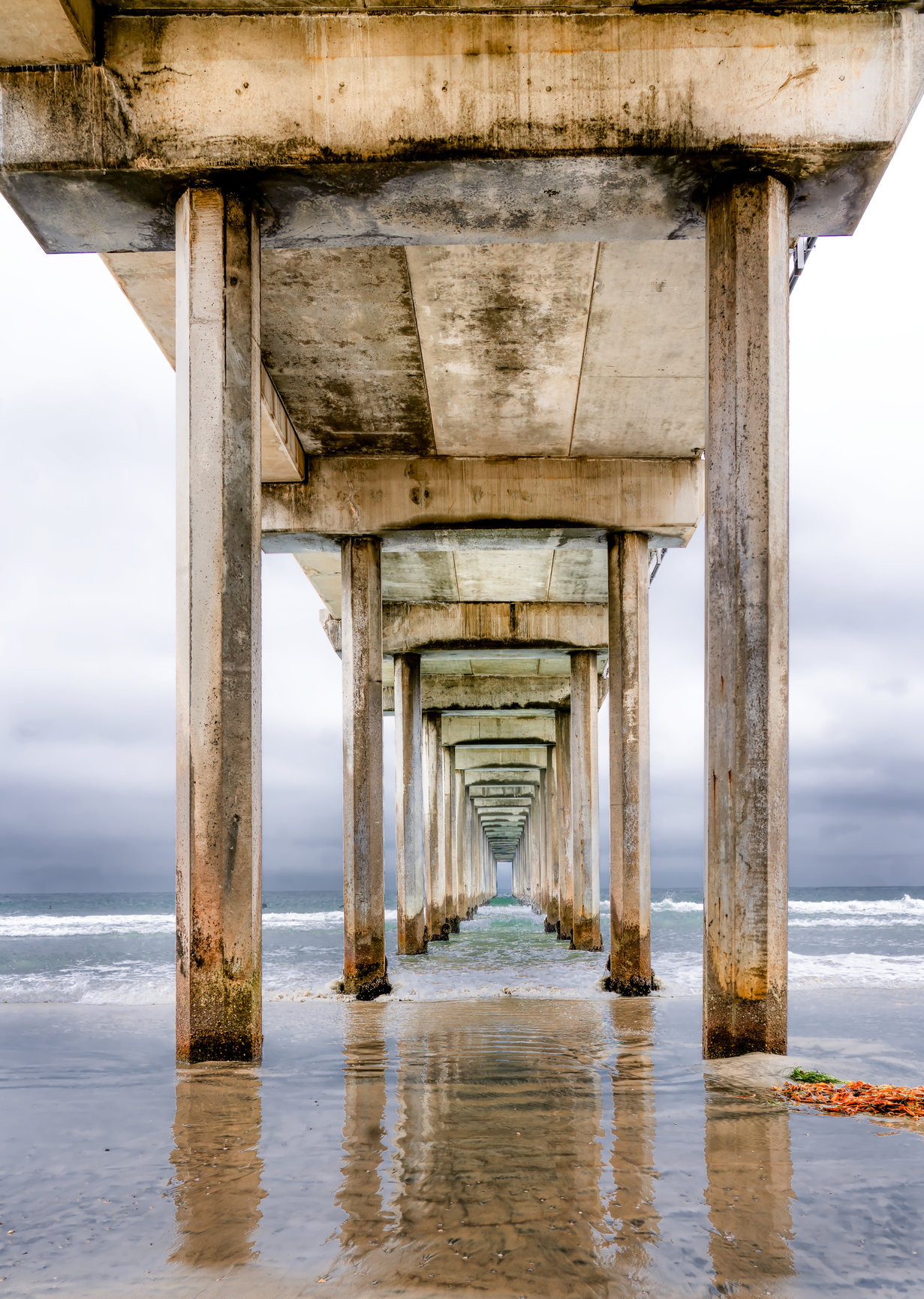 HOME - Steven Kaye Photography