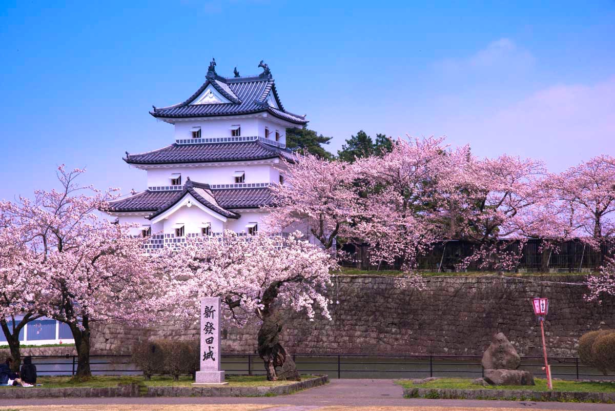 Shibata Castle Happy Hanami 2017 - Blain Harasymiw Photography