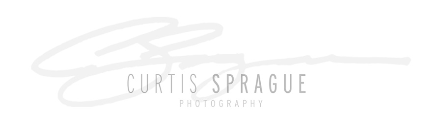 Introduction - Curtis P Sprague