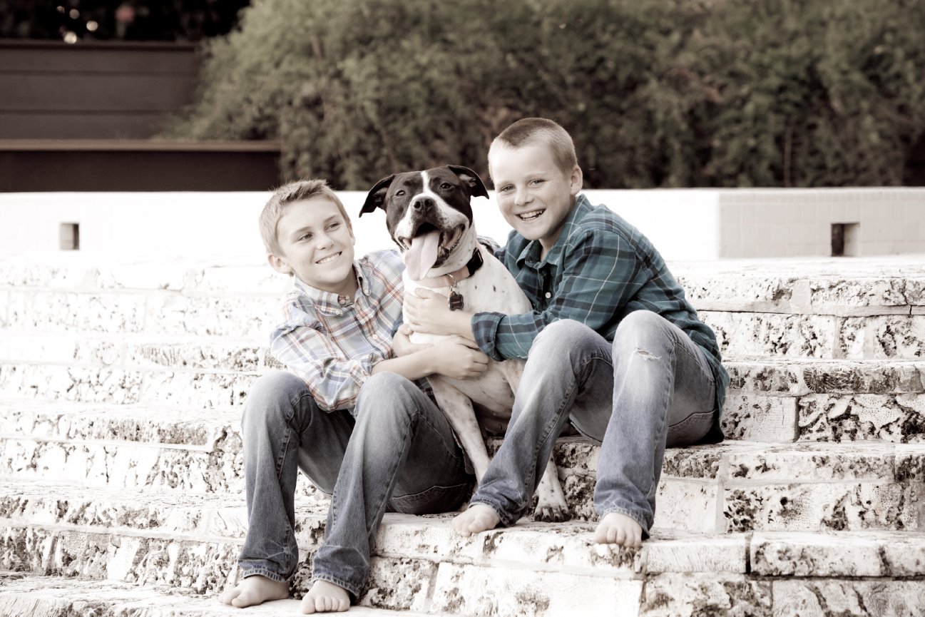 home - allison langer photography