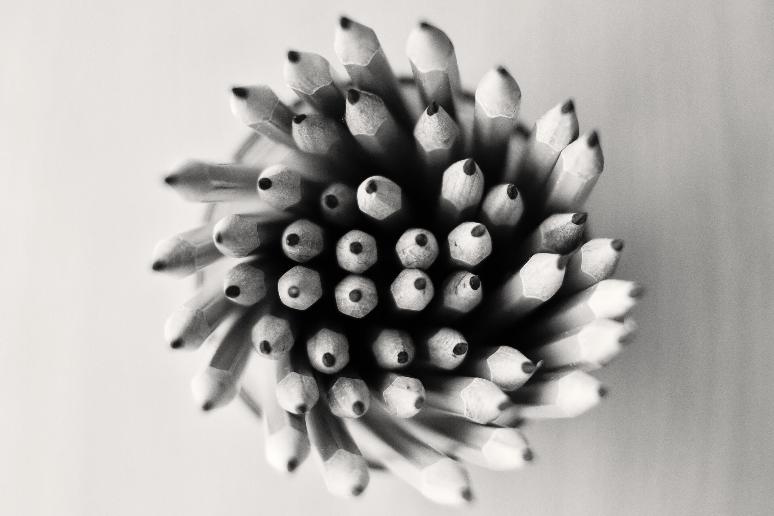 BW Pencils - Time Stops Photography