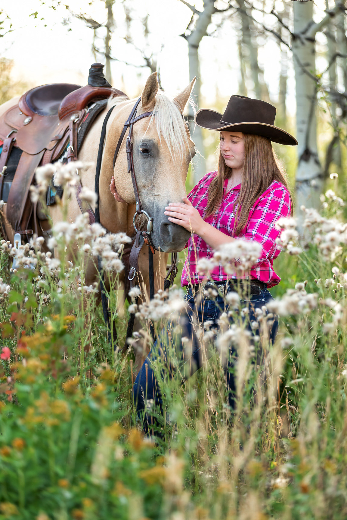 Dallas TX Equine & Equestrian Gallery | Penny Whistle Photography