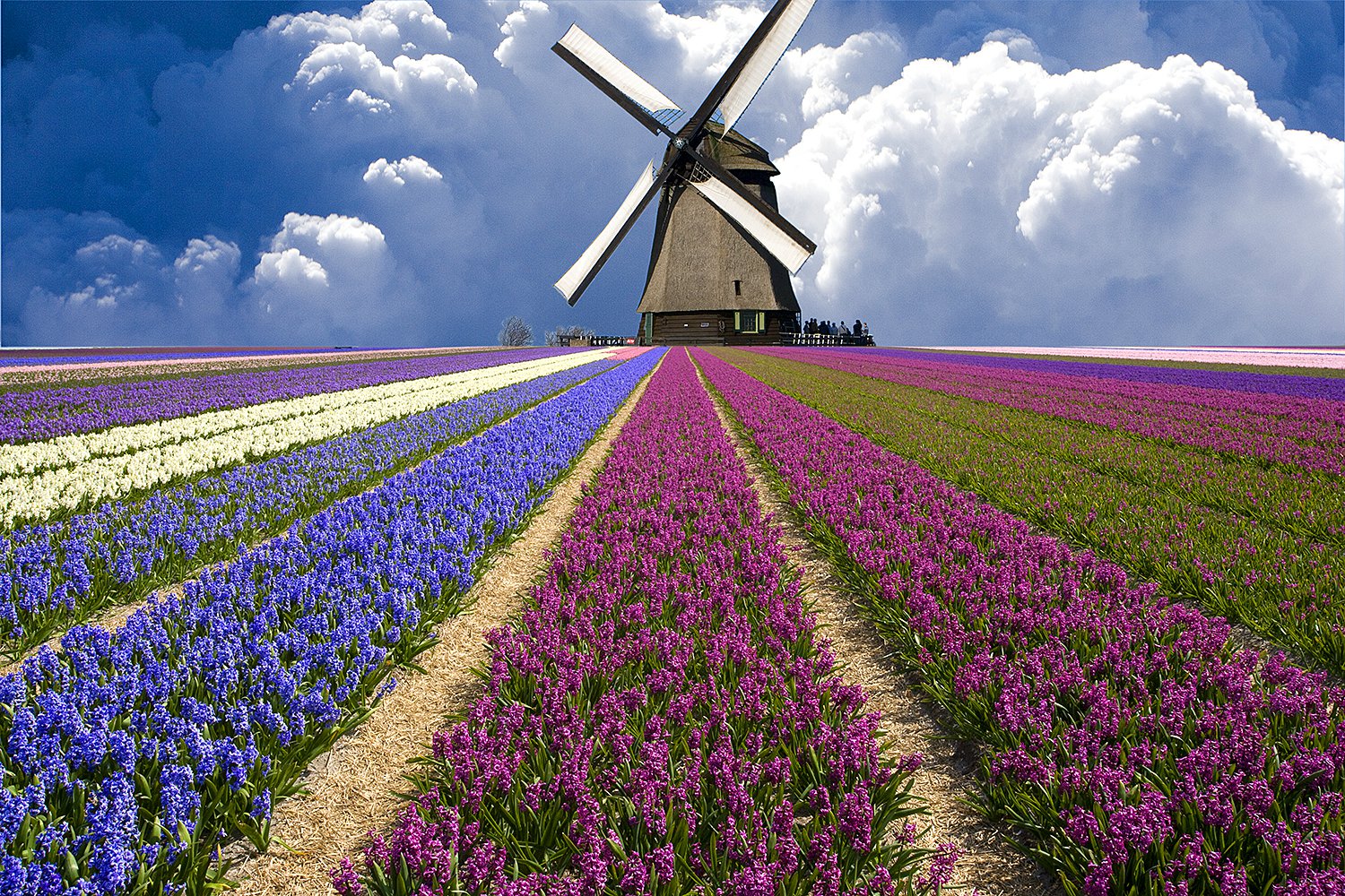 Holland - Jim Zuckerman photography & photo tours
