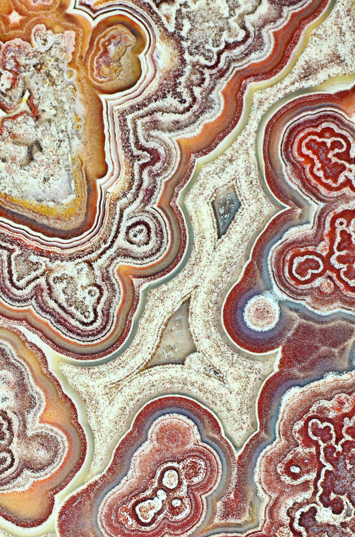 Macro Abstract and Macro Patterns by Mike Moats | Award Winning Macro ...