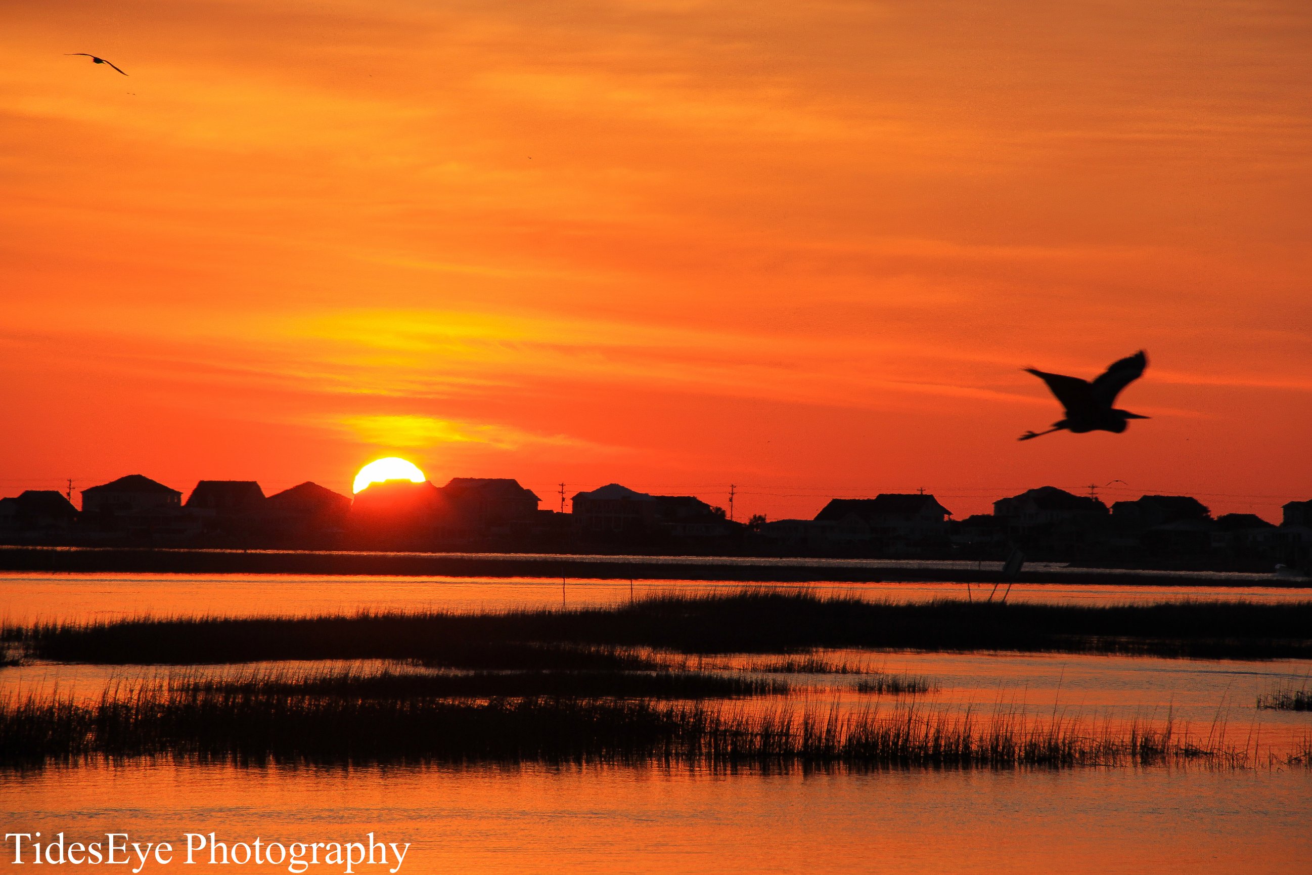 LANDSCAPES/NATURE - Tides Eye Photography
