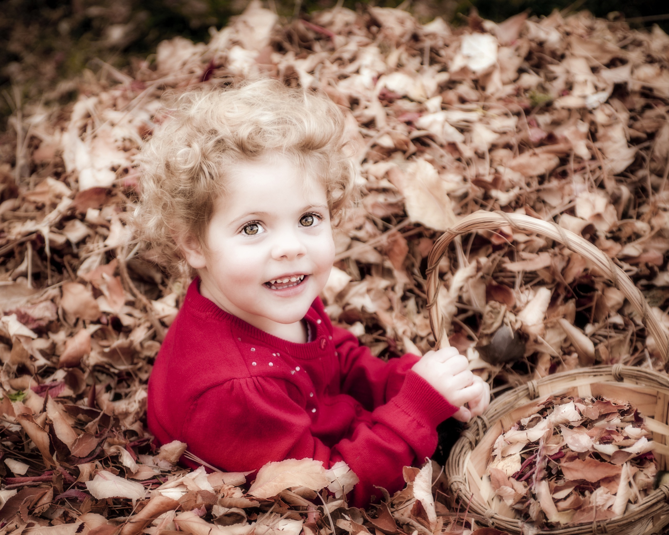 PORTRAITS - Kathy Singer Photography