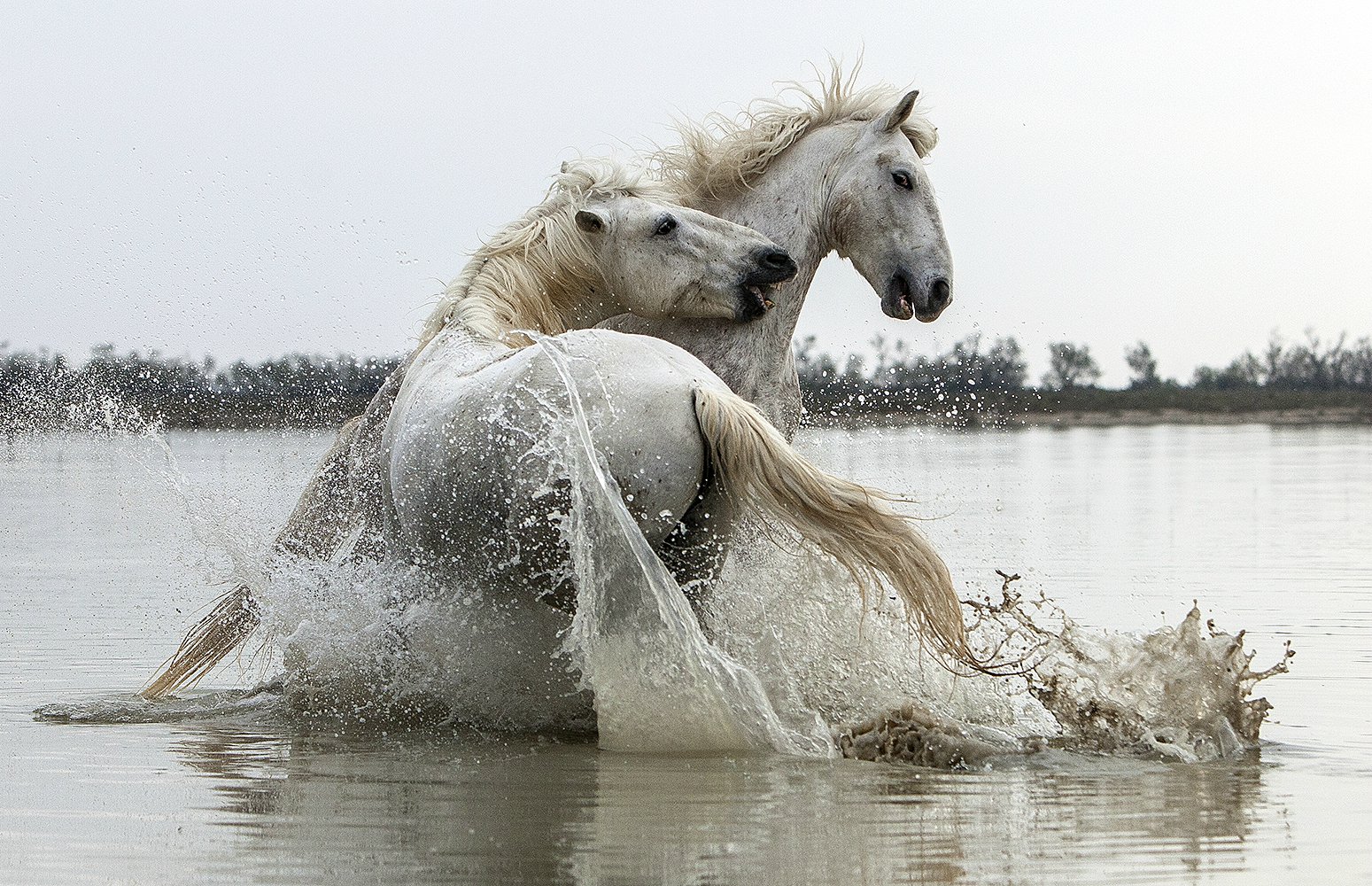 Strategy for action - Jim Zuckerman photography & photo tours