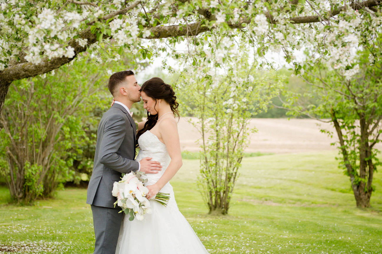 Faire le bon choix - Studio Nala