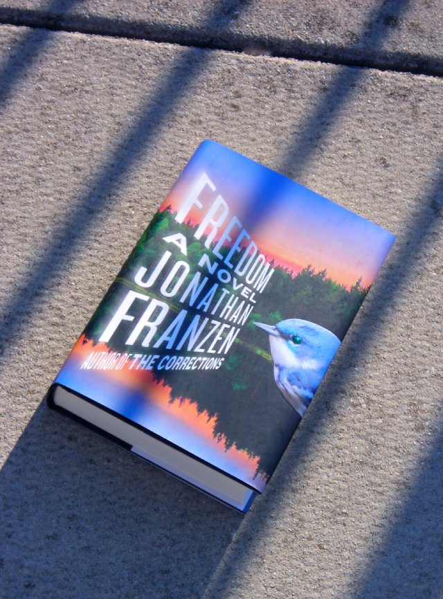 STILL LIFE - Jon Bierman