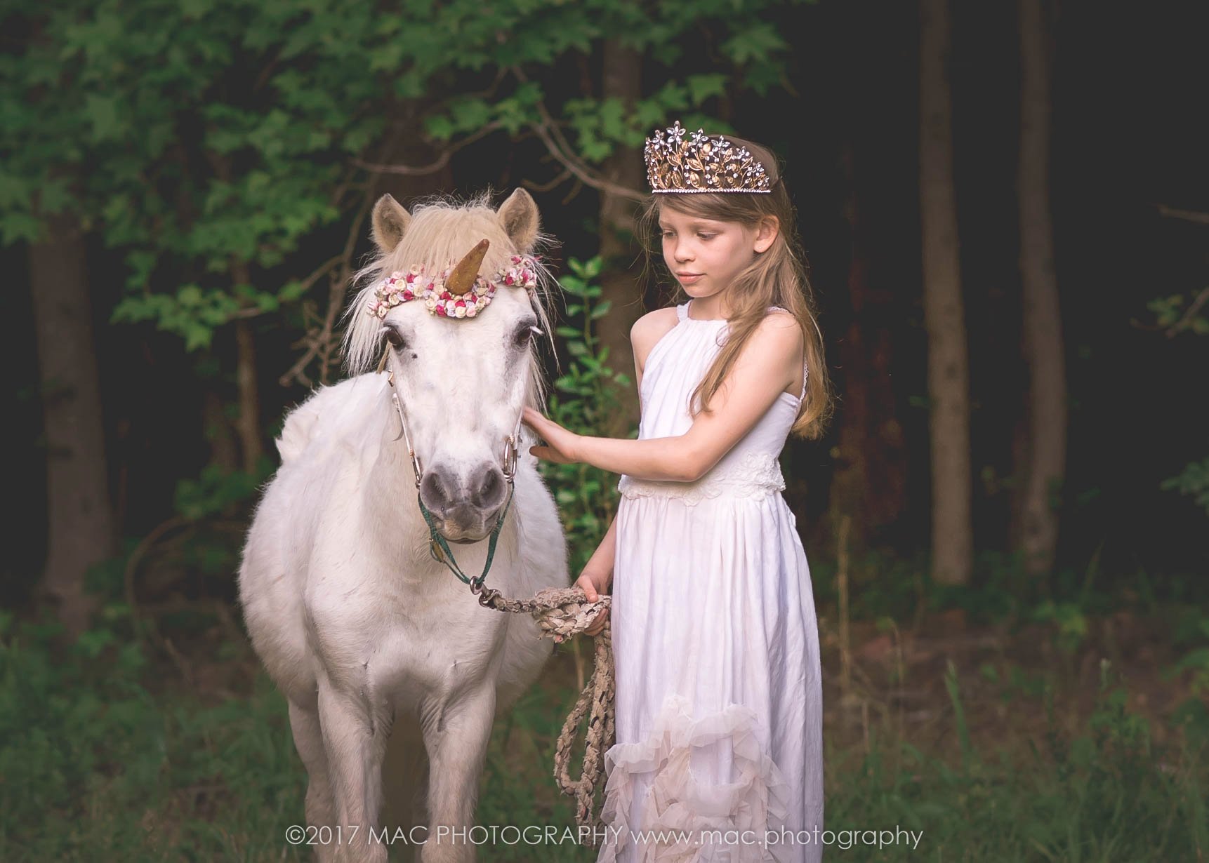 HOME - MAC Photography