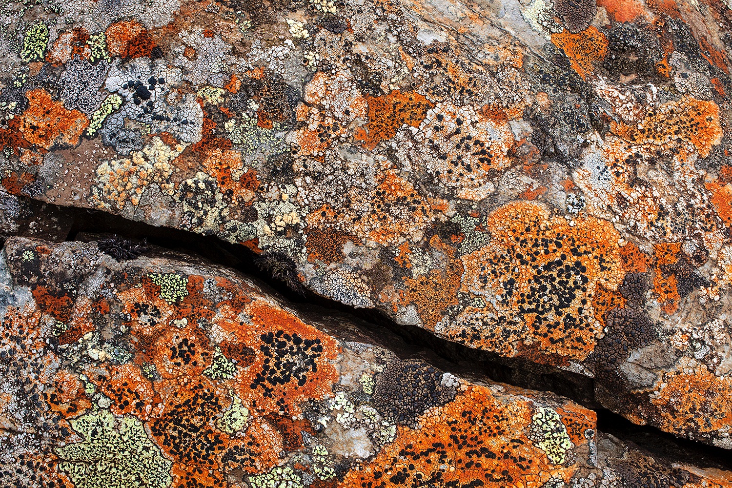 Increasing depth of field - Jim Zuckerman photography & photo tours