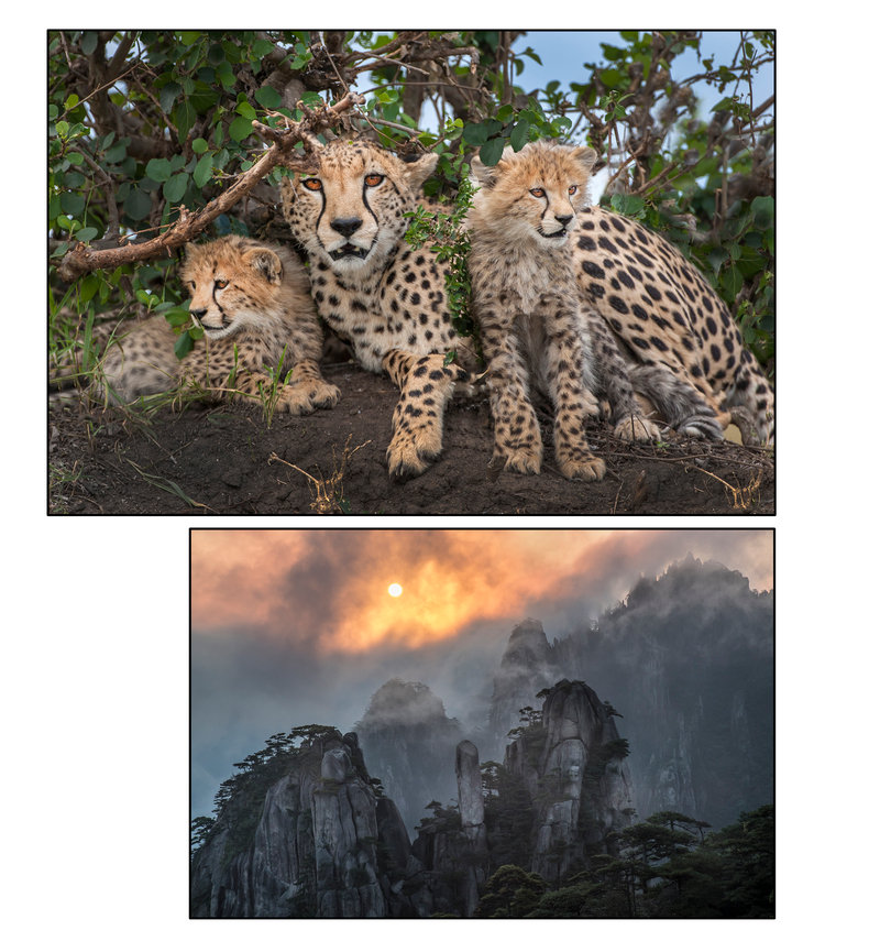 Jim Zuckerman presents 4-week Photoshop workshop