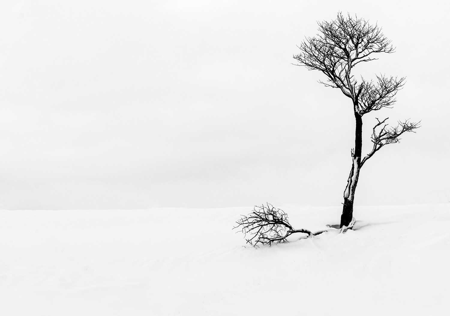 Positive Negative Space Photography Composition Blain Harasymiw