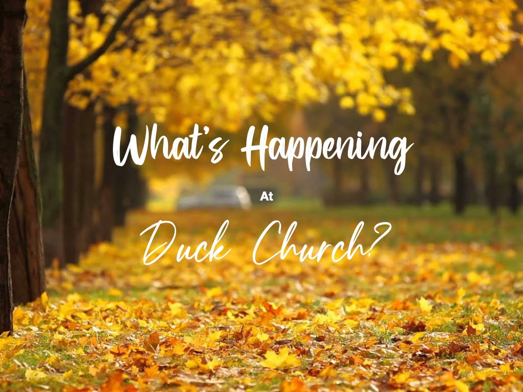 Survey Results - Duck Church