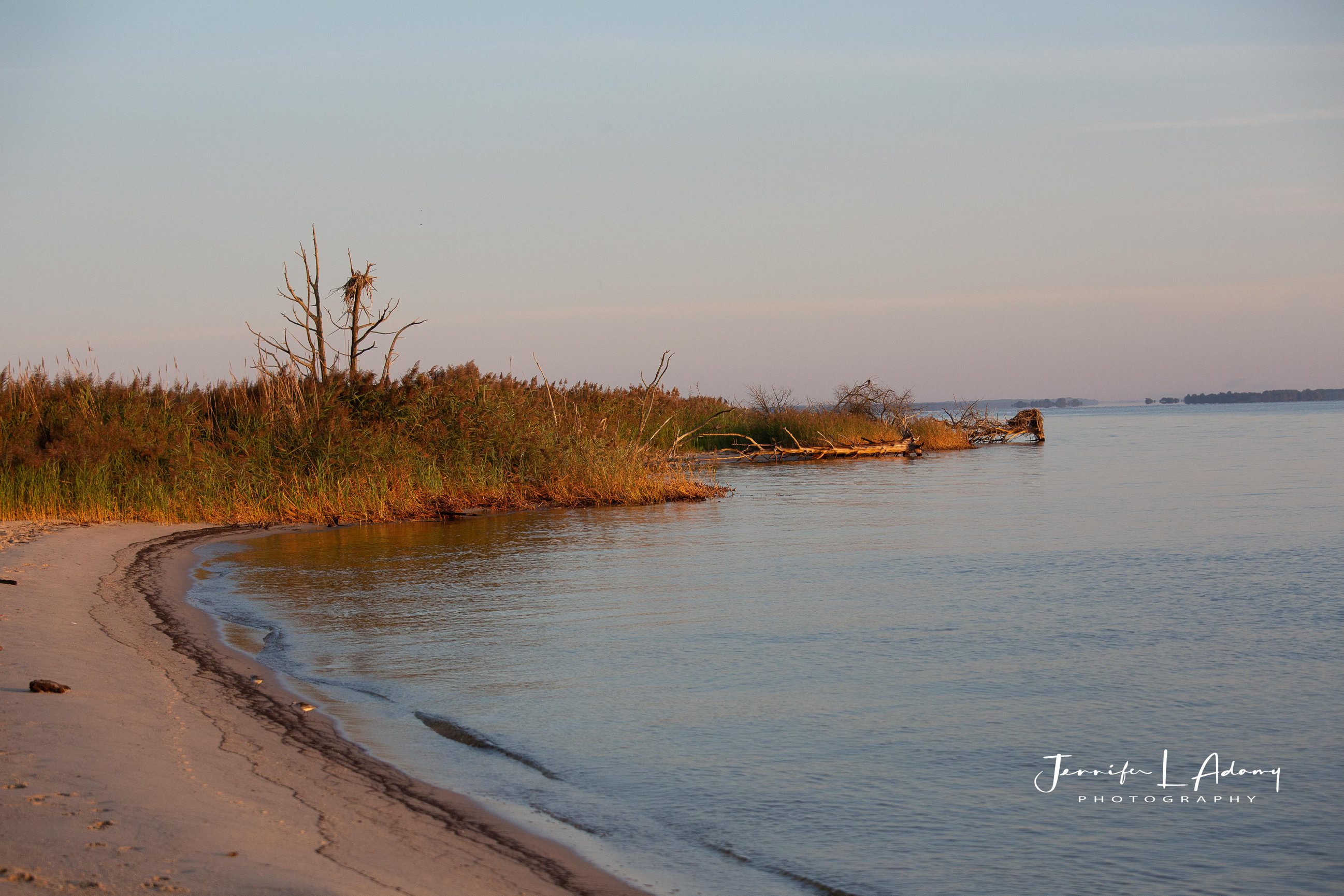 PORTFOLIO - Jennifer L Adamy Photography