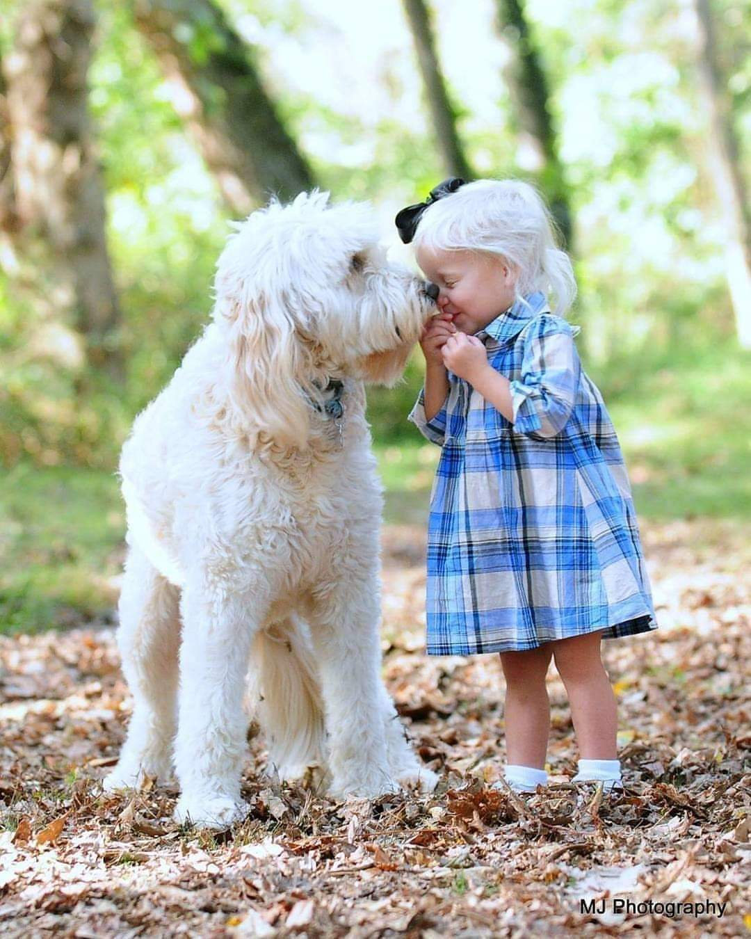 Mike Gibson Photography