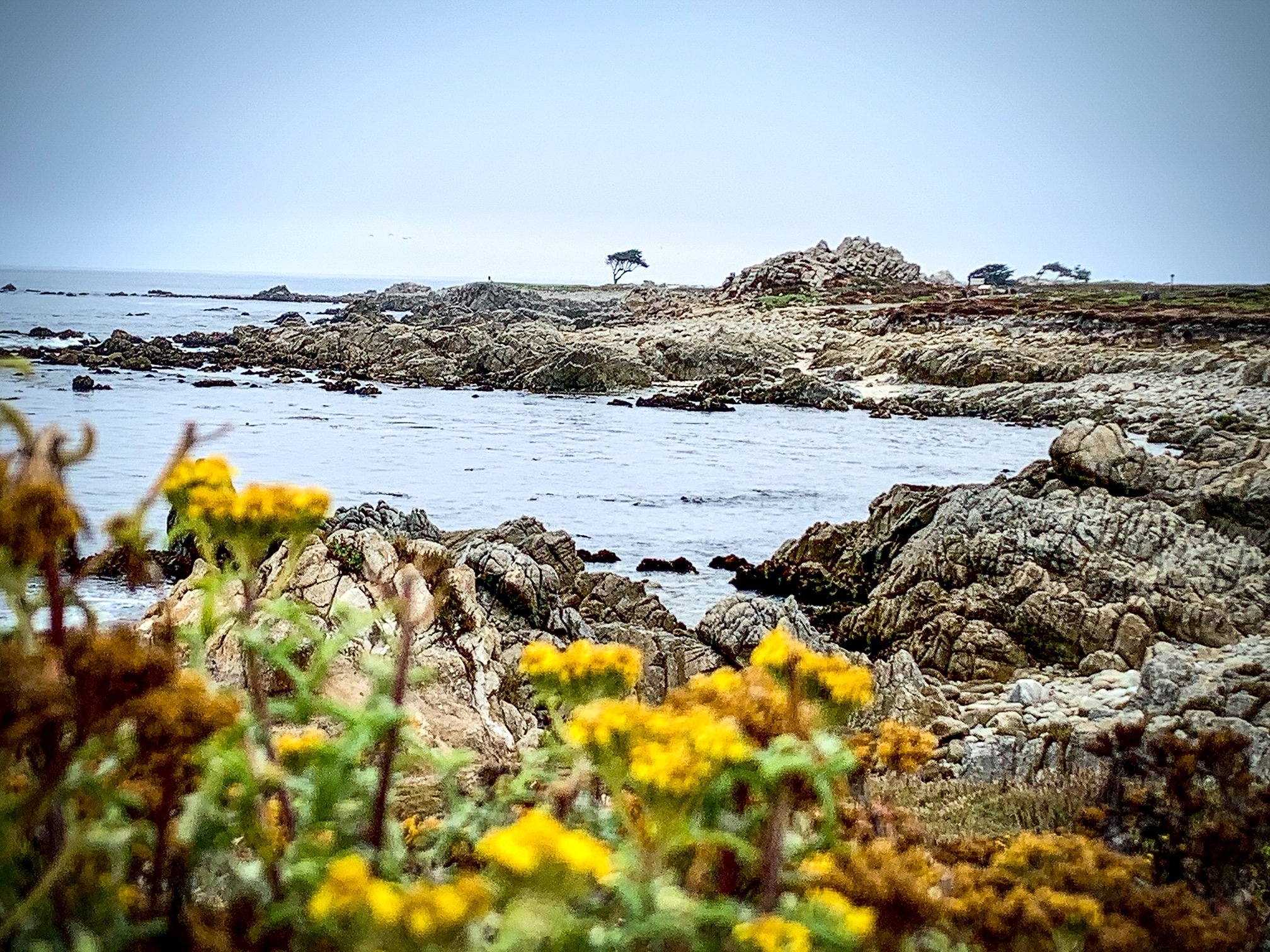 Bucket List Trip to Pebble Beach - Micciche Photography