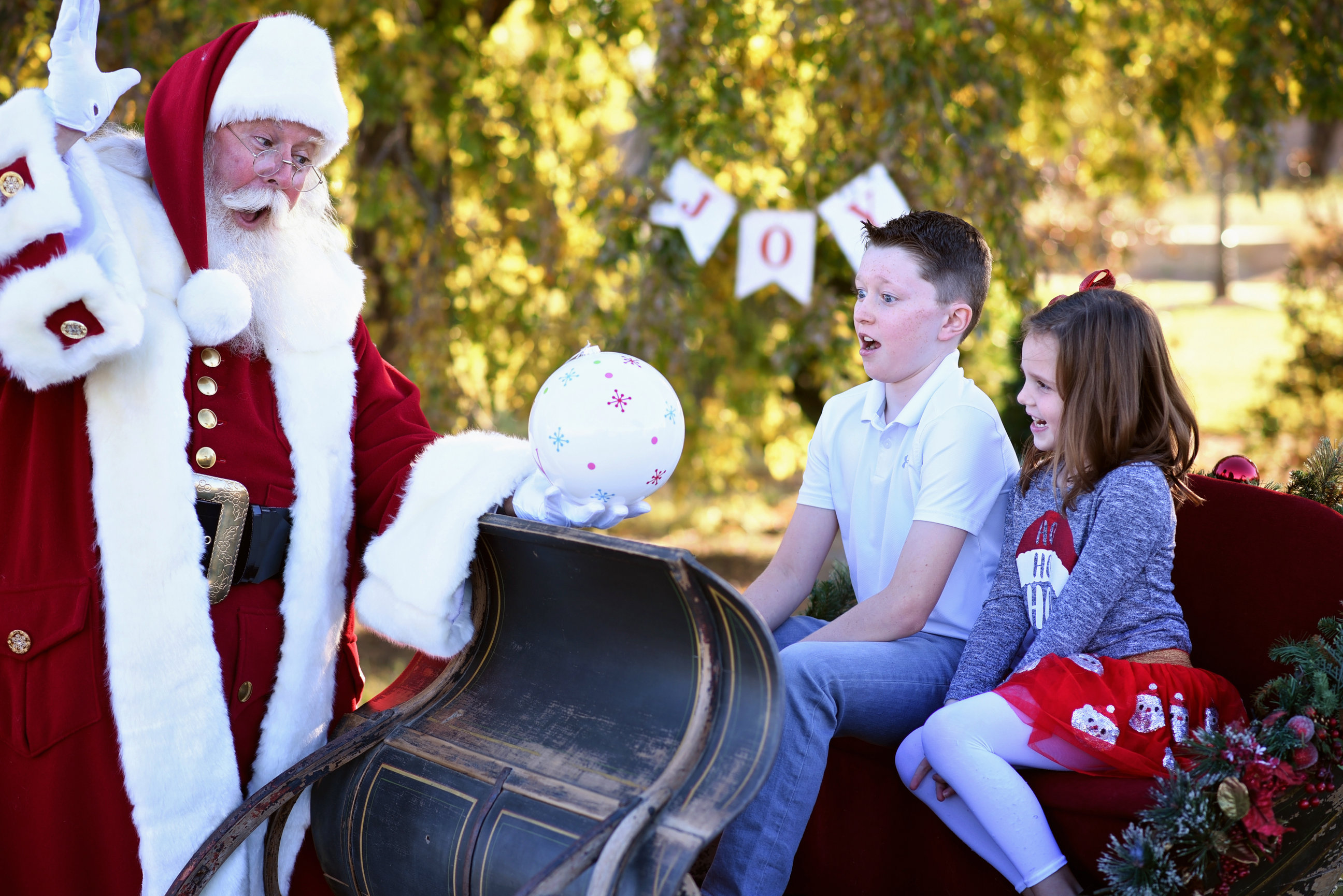 Santa and Vintage Sleigh Photos Done! - Promo Photos