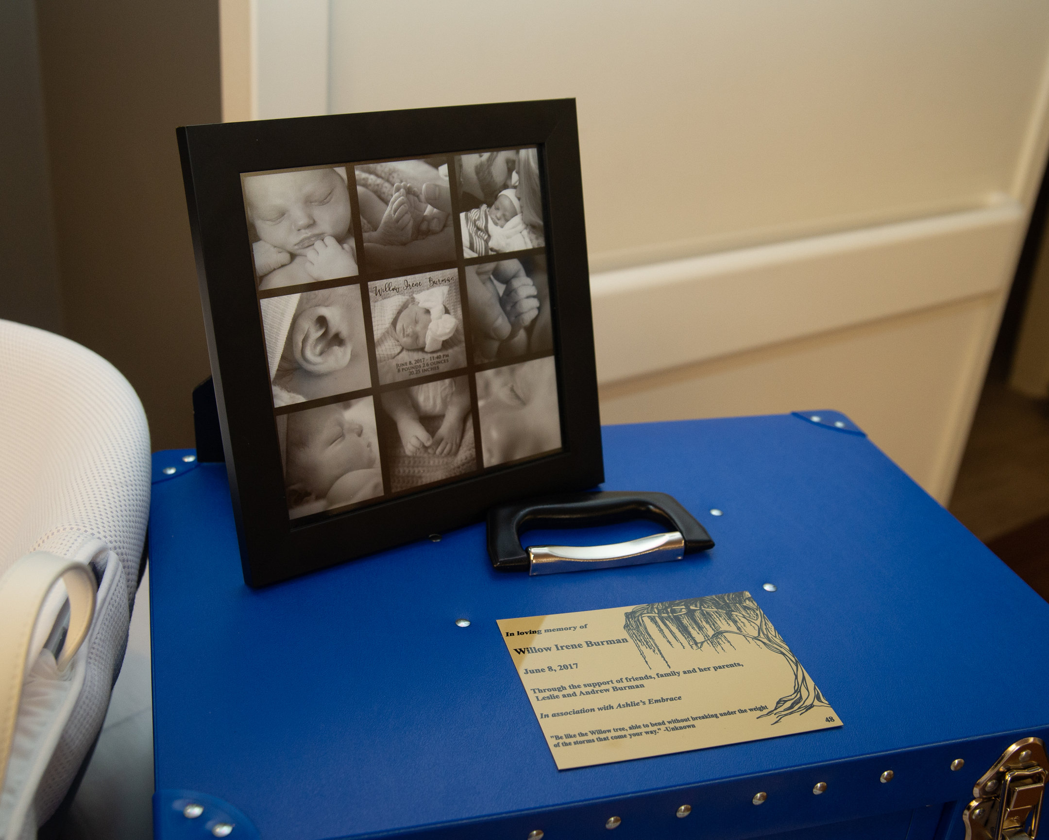 CuddleCot™ PLACEMENTS - Be Like The Willow