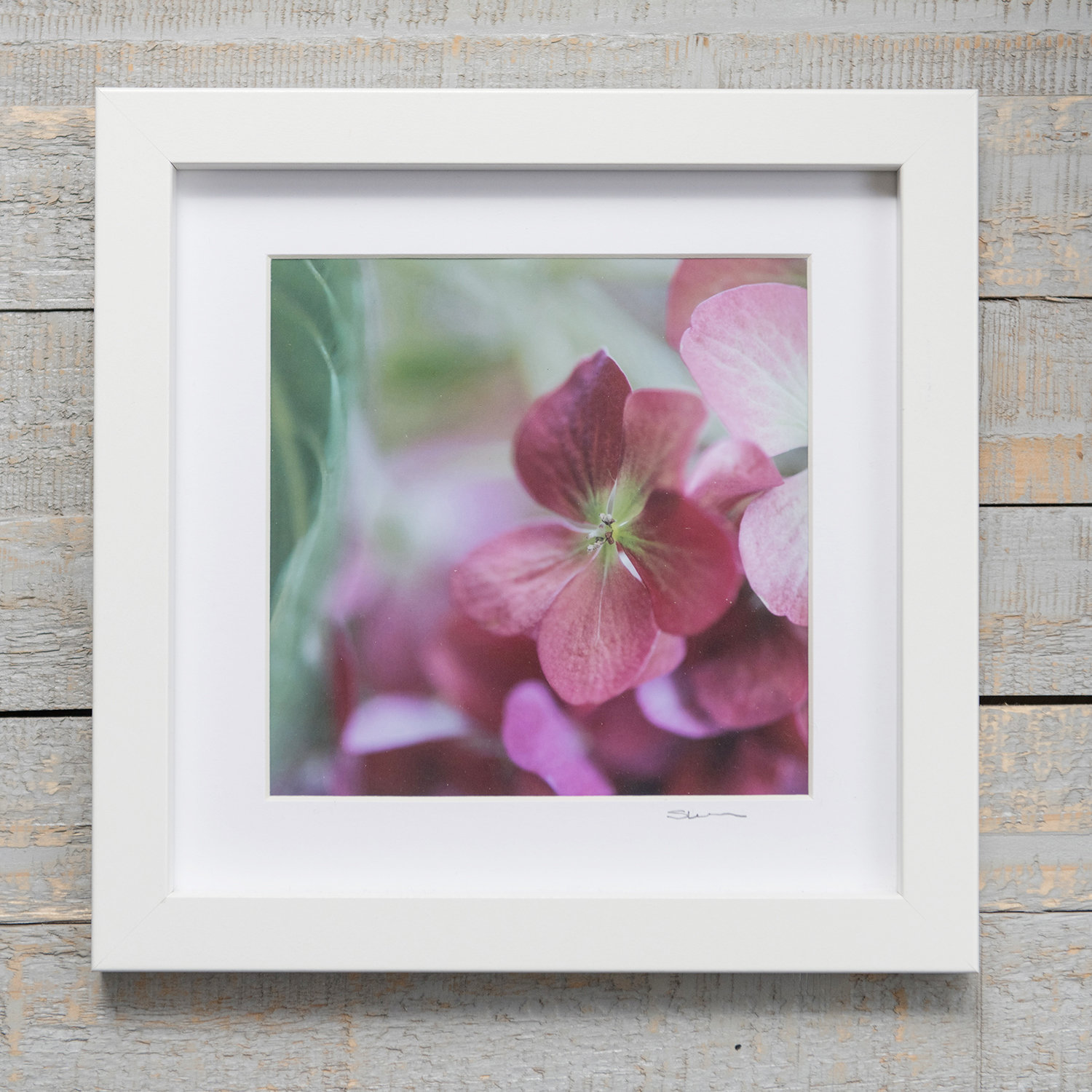 STORE | Susan Phelps Photography | Wokingham