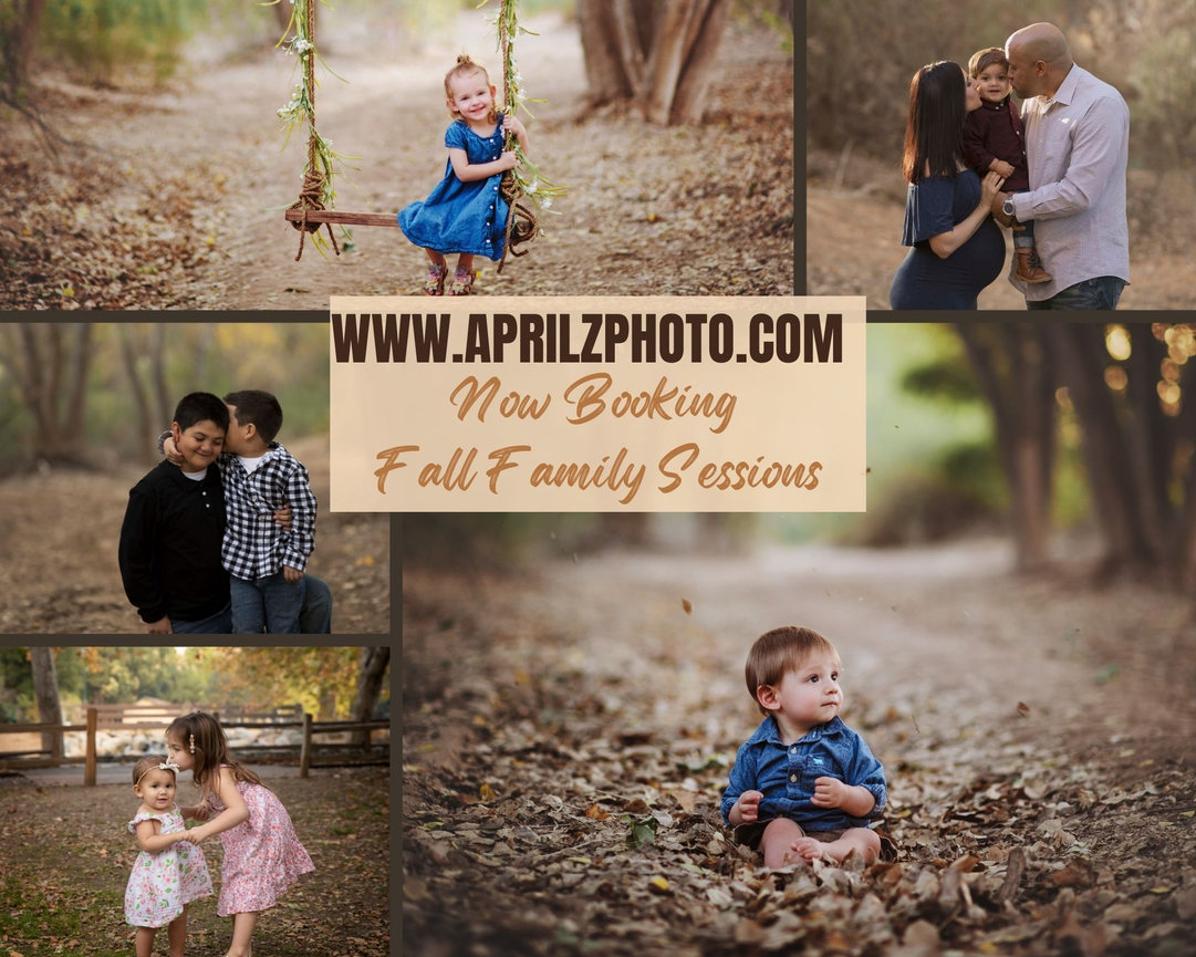 Home - April Z Photo