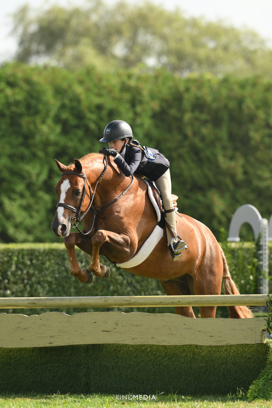 Hunter Ring 3- HC 25 by Kind Media LLC