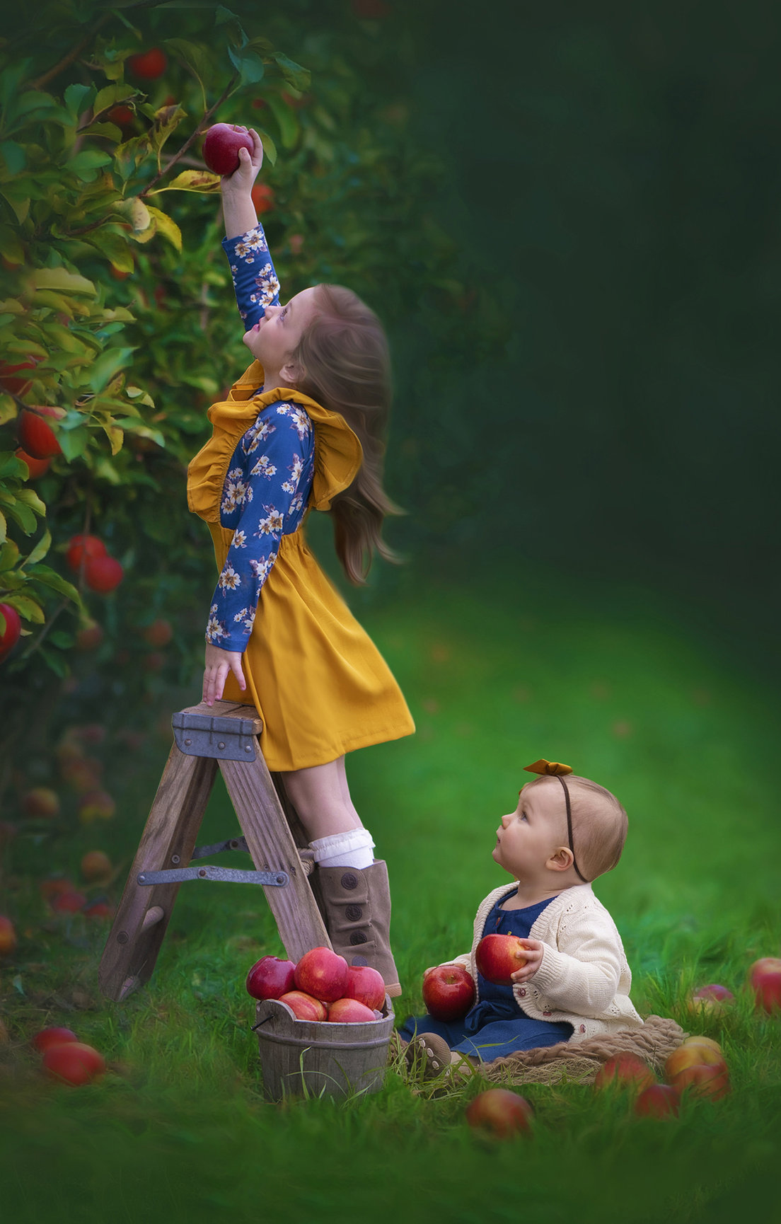 Lloyd Photography Studio