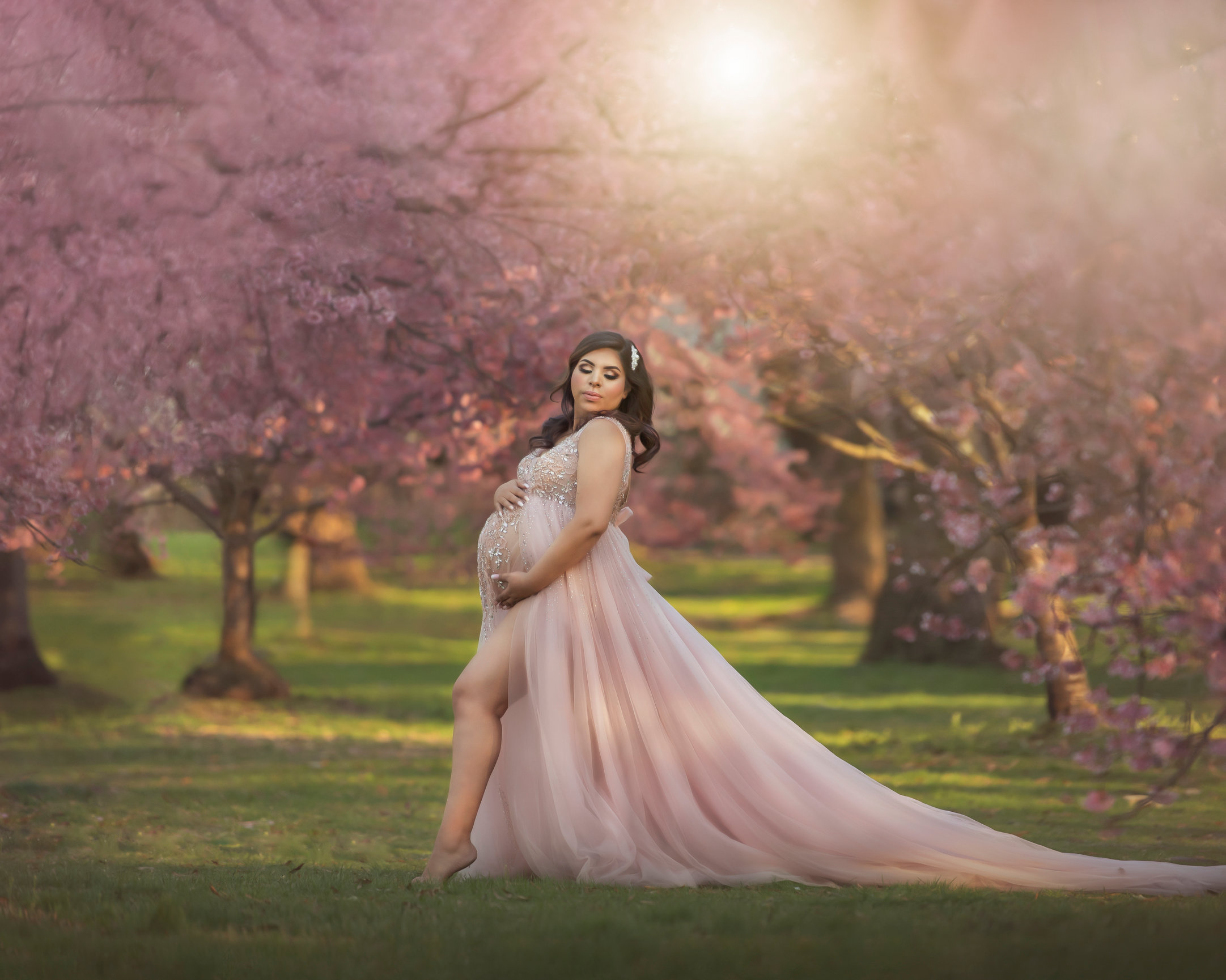 Jenna Elizabeth Studios