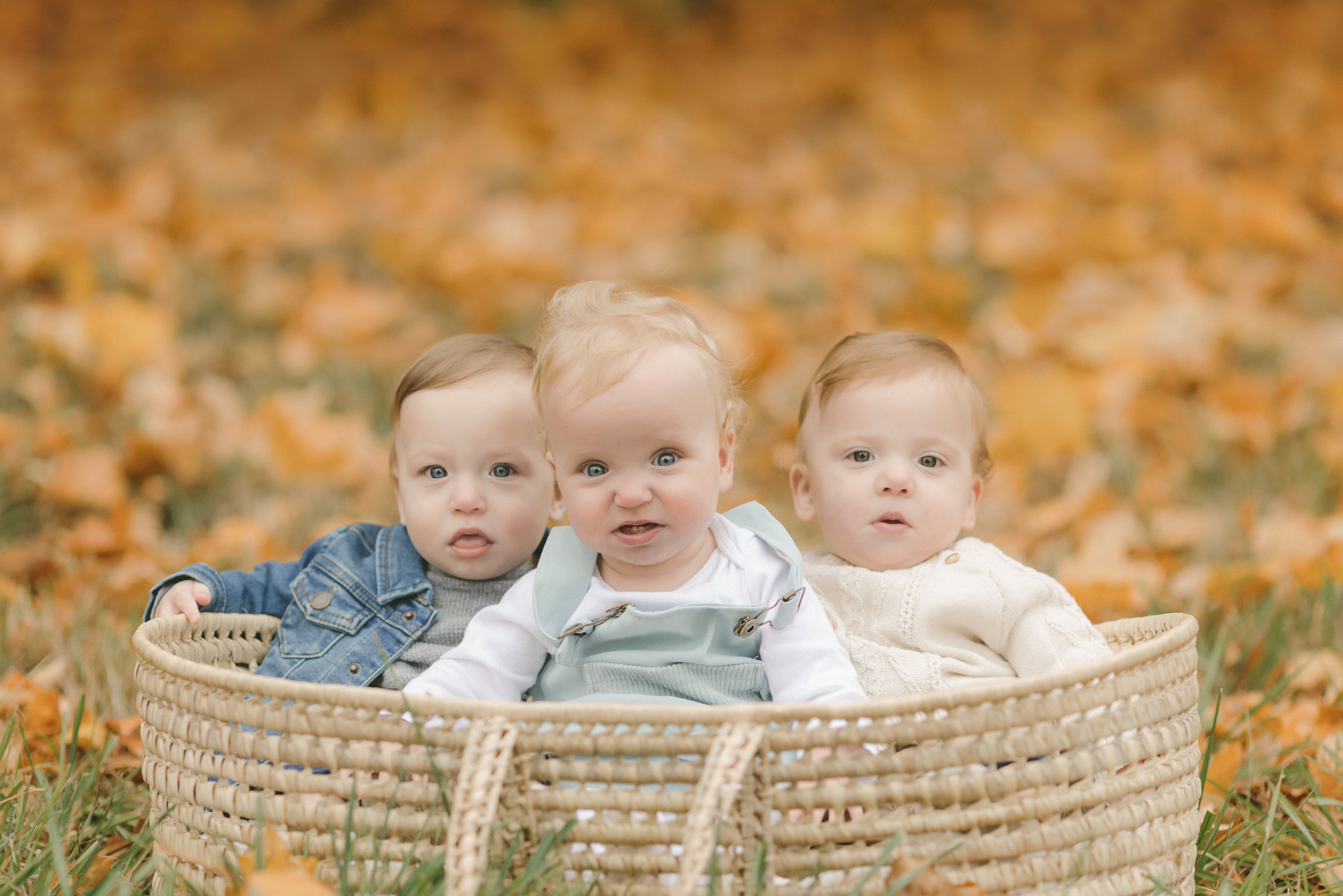 A Minnesota Landscape Arboretum Triplets Photo Session
