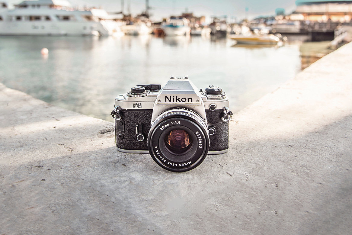 HOME | Susan Phelps Fine Art Flower PHOTOGRAPHY | WOKINGHAM