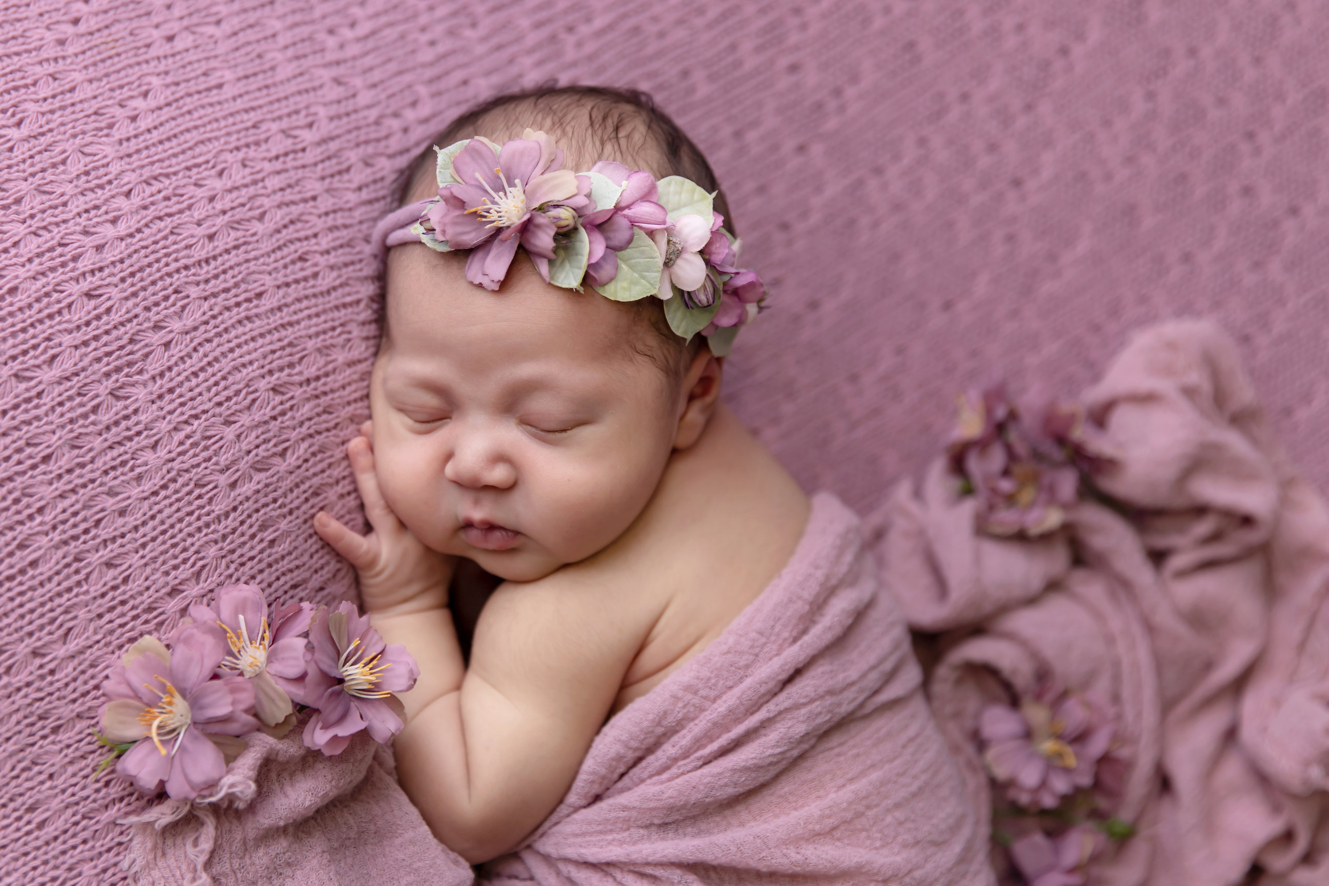 Clients - Sheri Titus Photography