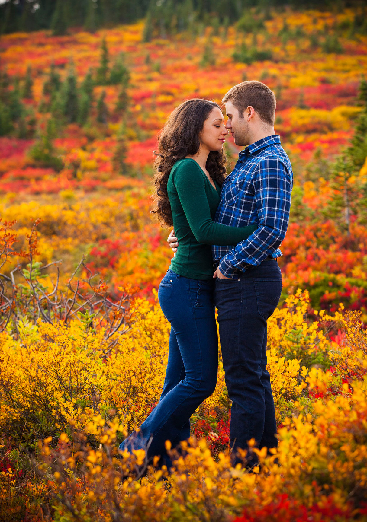 Autumn portraits by Chris Watkins