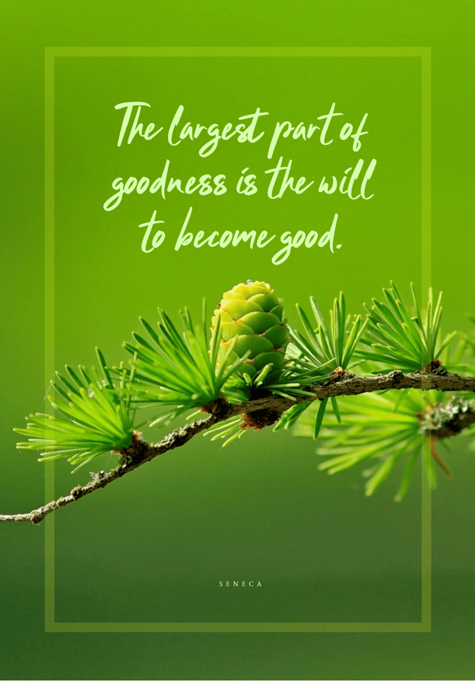Goodness Quotes - Seeing Goodness