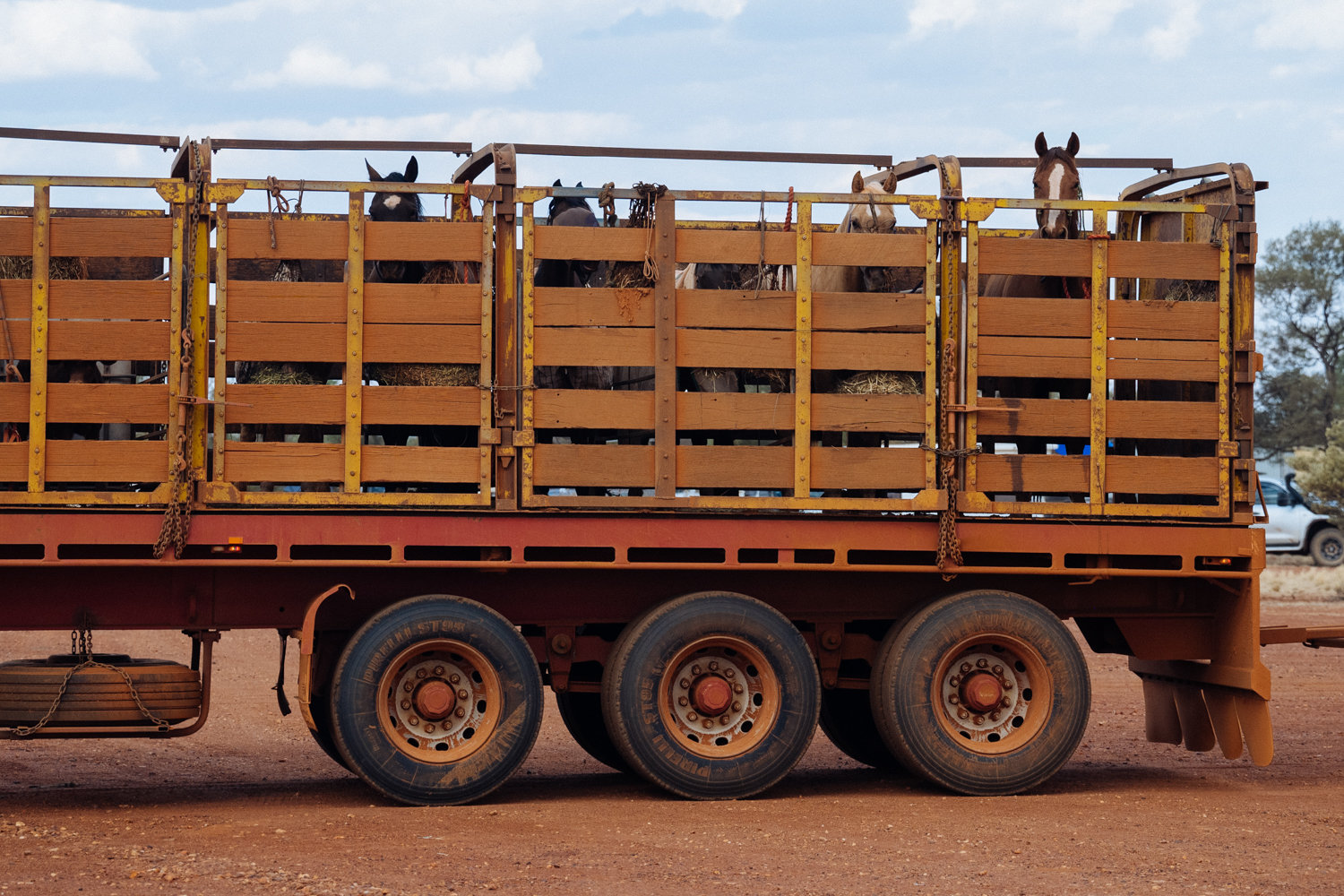 Experience the Thrills of The Landor Races in Western Australia's East ...