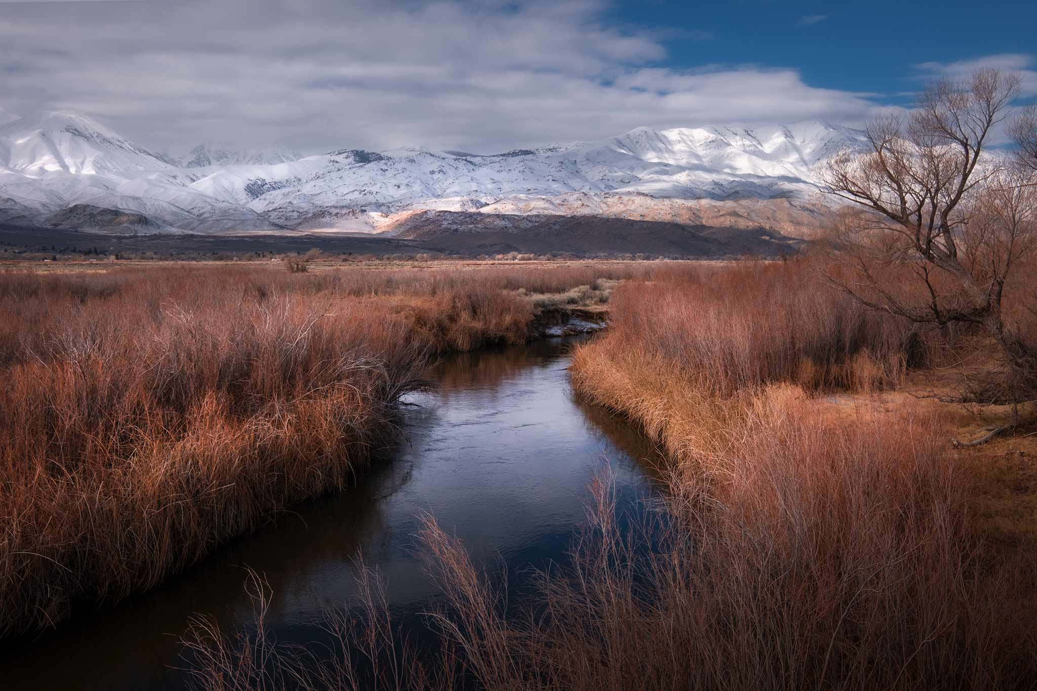 Owens River, Winter - Rob Strain